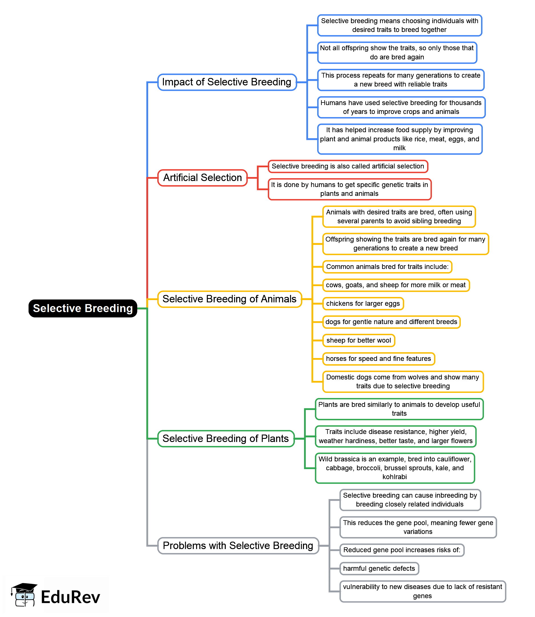 Mind Map: Selective Breeding - Grade 8 PDF Download