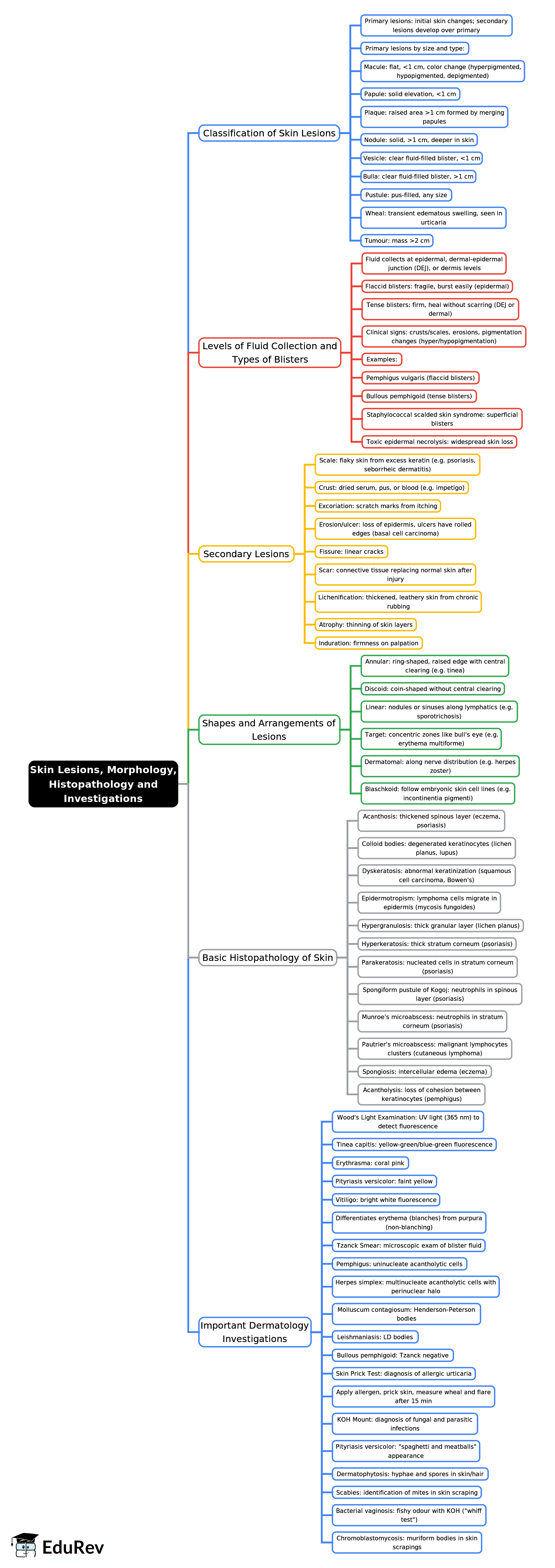 Mind Map: Skin Lesions, Morphology, Histopathology and Investigations - Dermatology and ...