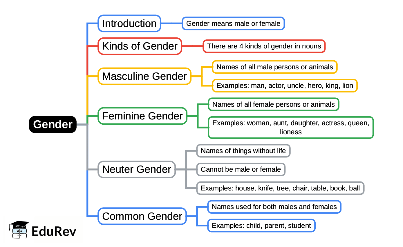Mind Map: Gender - Class 2 PDF Download