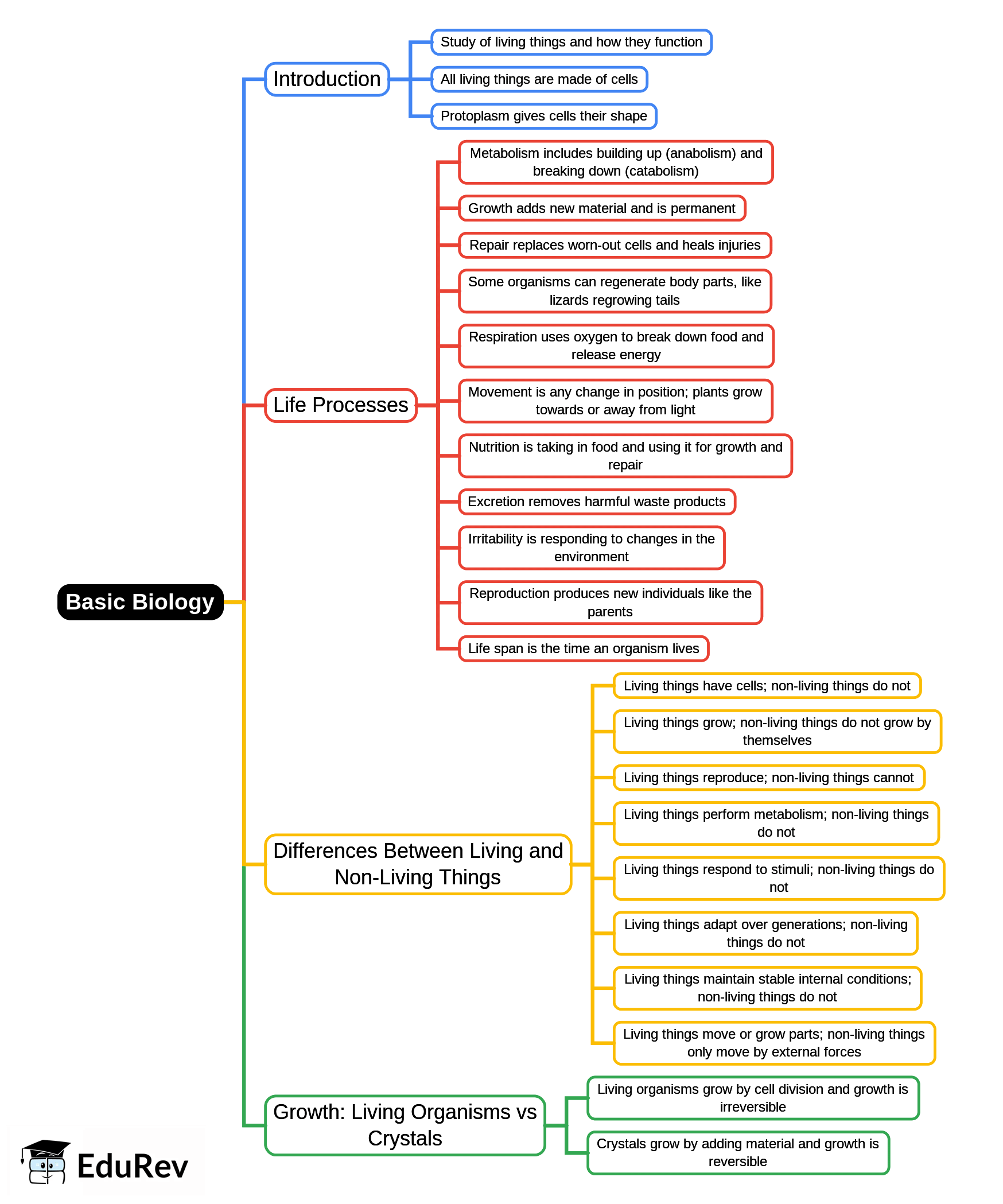 Basic Biology Mind Map - Class 10 PDF Download