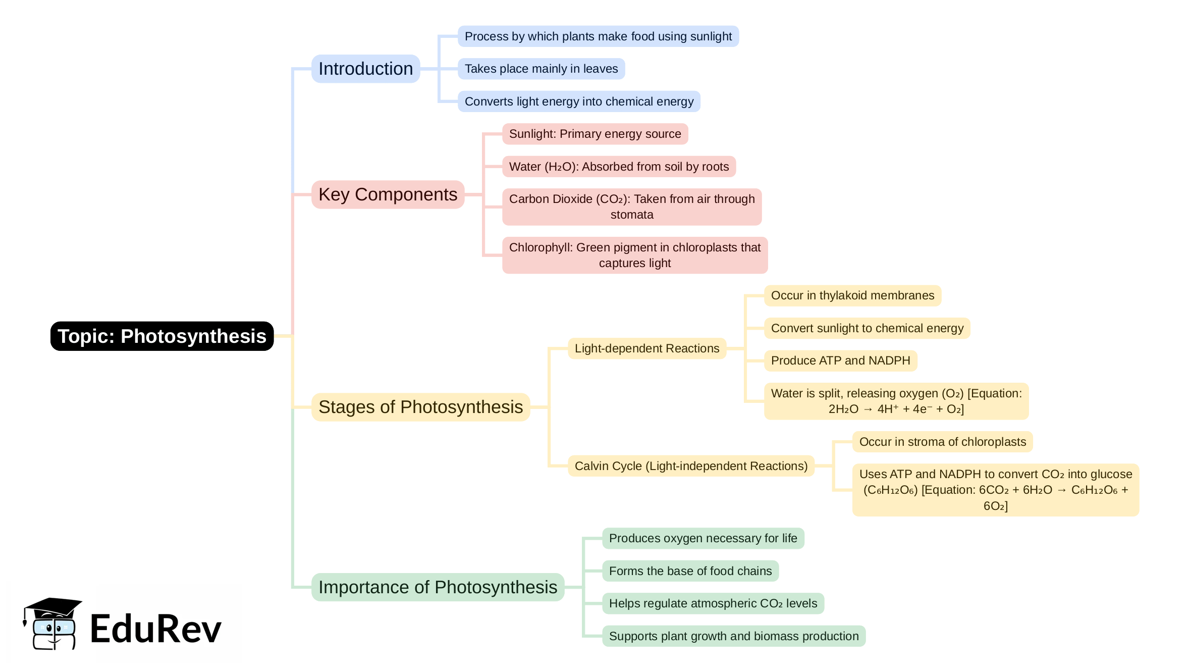 Mind Map: PDF Download
