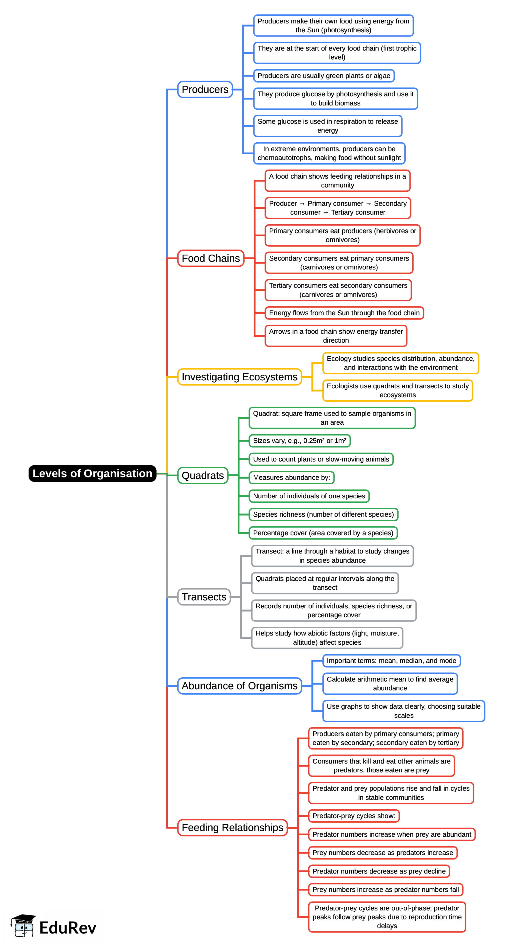 Mind Map: Levels of Organisation - Grade 10 PDF Download