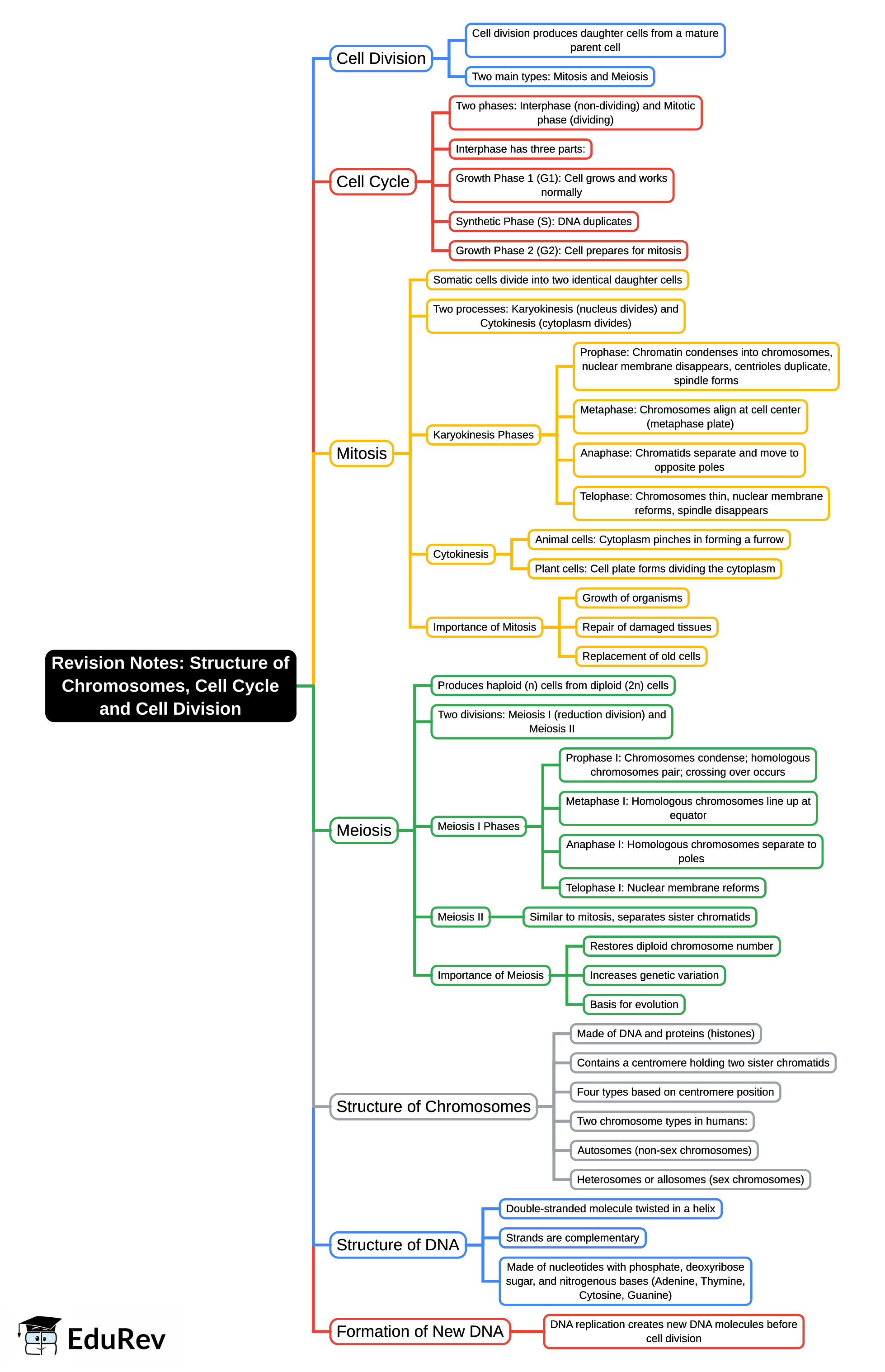 Mind Map: Structure of Chromosomes, Cell Cycle and Cell Division ...