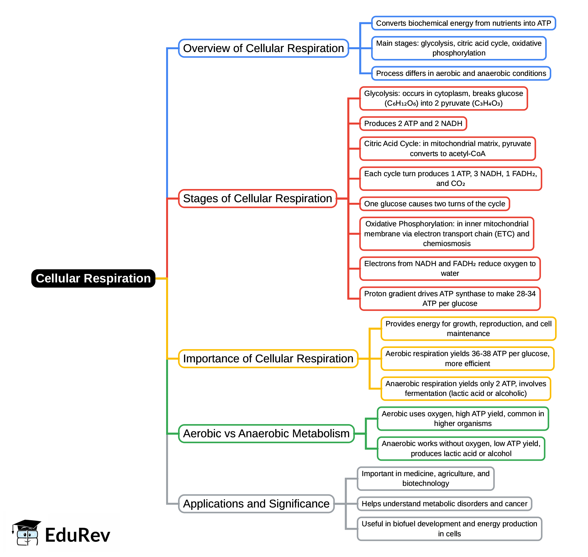 Mind Map: Exam Scorer - NEET PDF Download