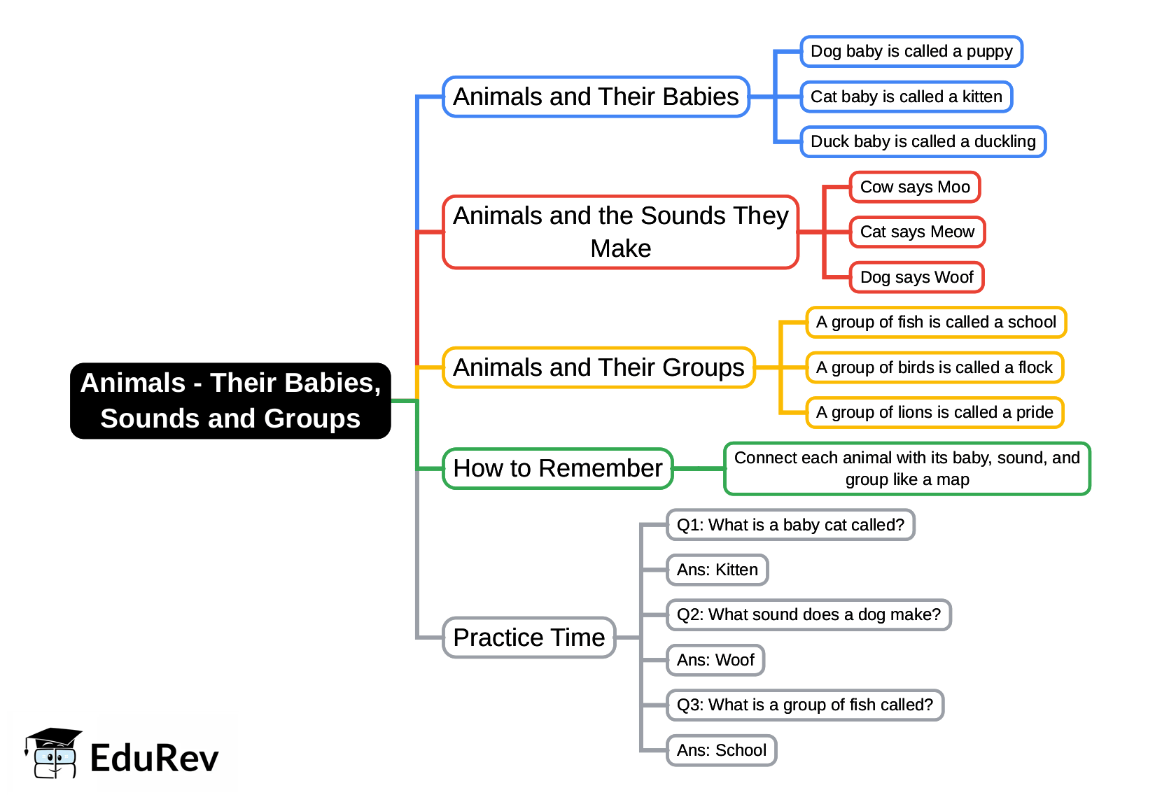 Mind Map: Animals - Their Babies, Sounds and Groups - Class 2 PDF Download
