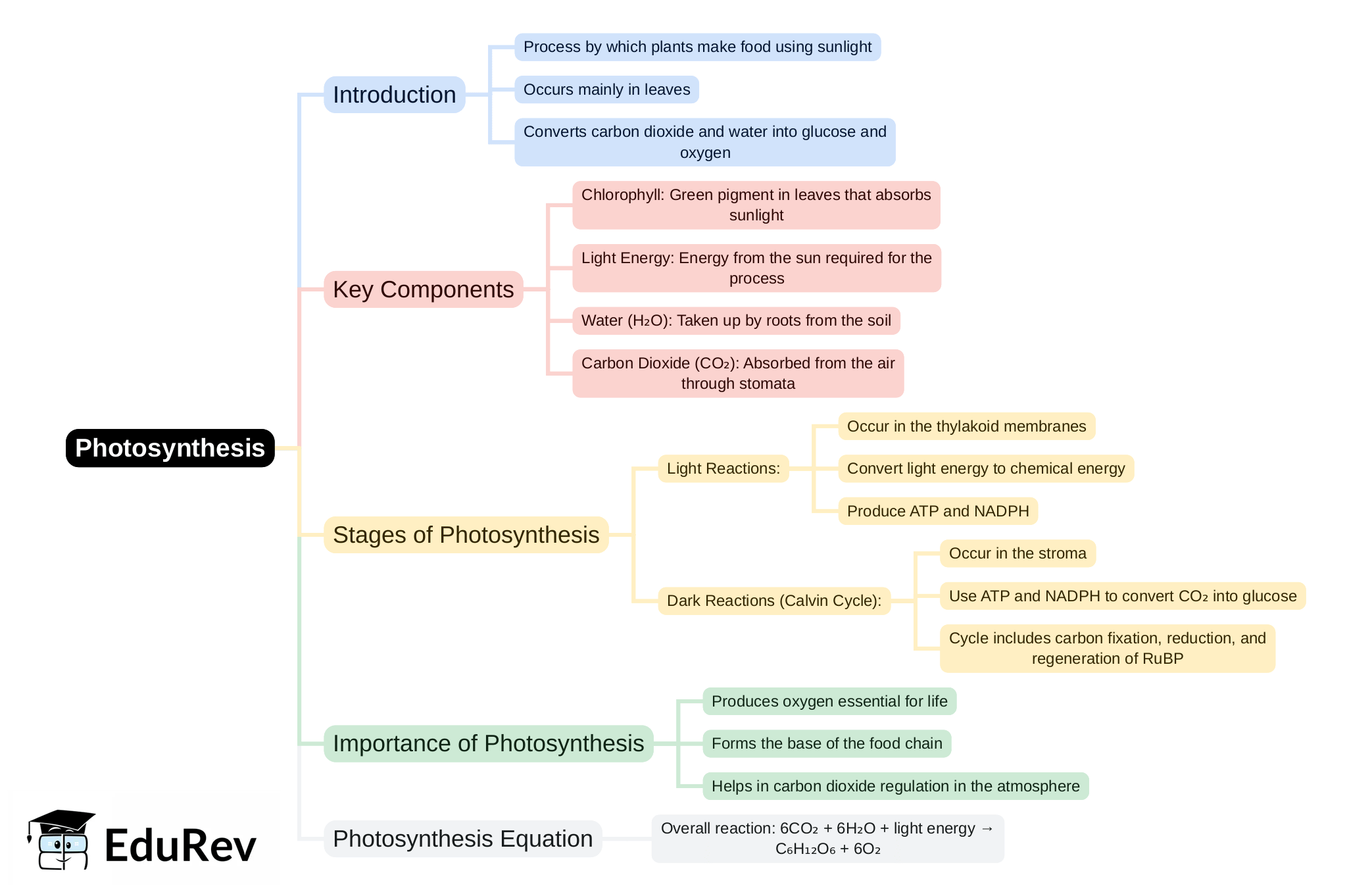 Mind Map - PDF Download