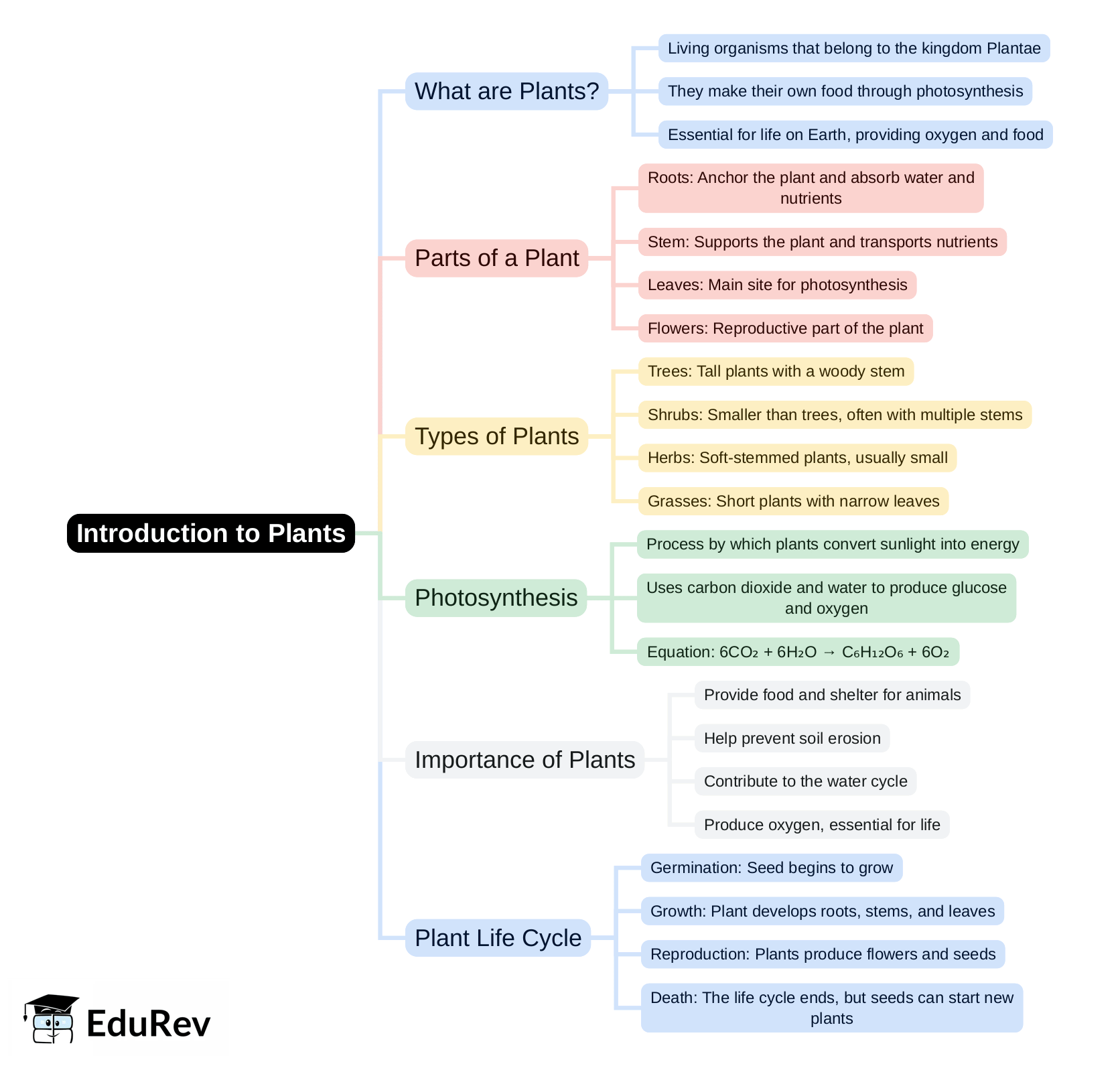 Mind Map: PDF Download