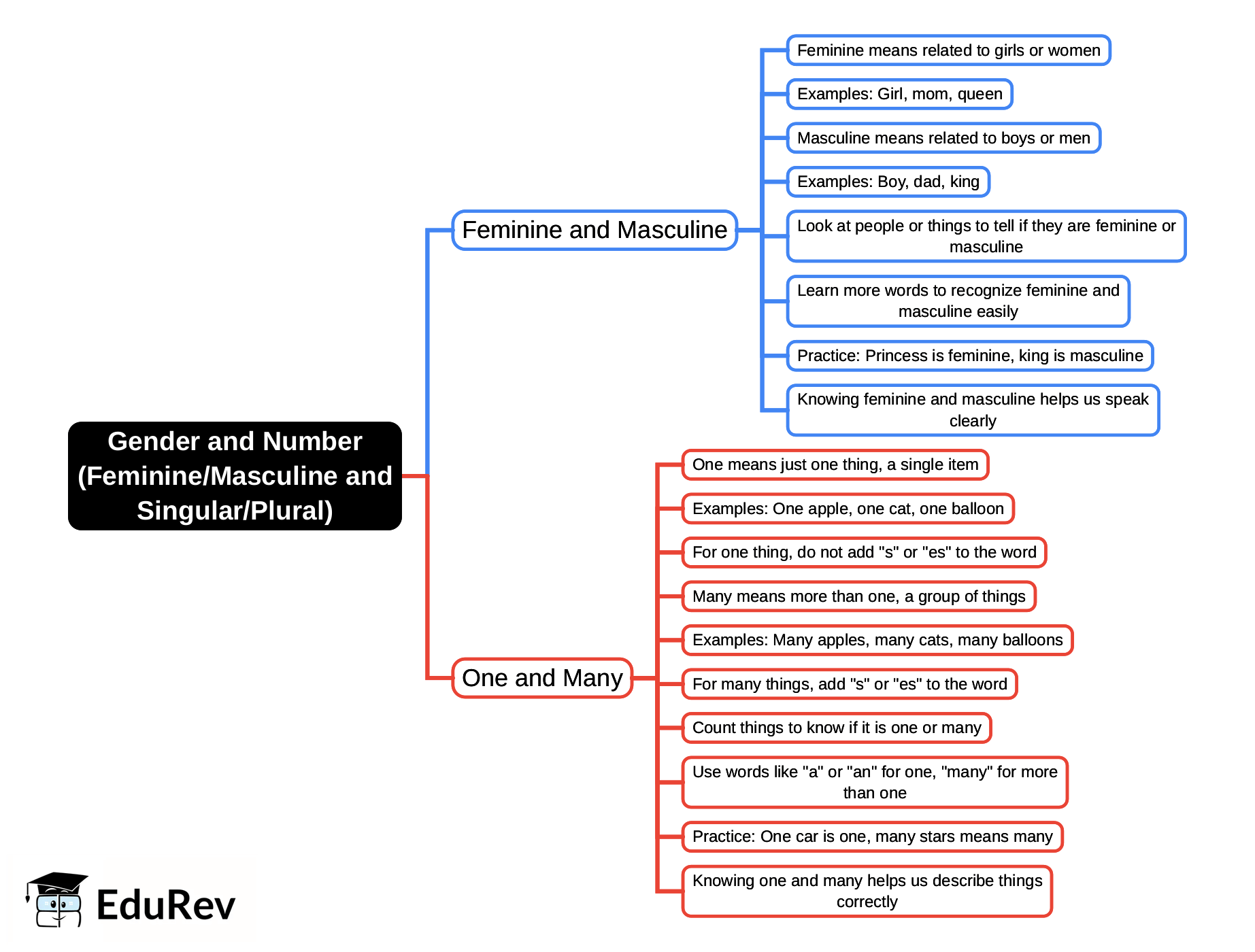 Mind Map: Gender and Number (Feminine/Masculine and Singular/Plural) - Class 3 PDF Download