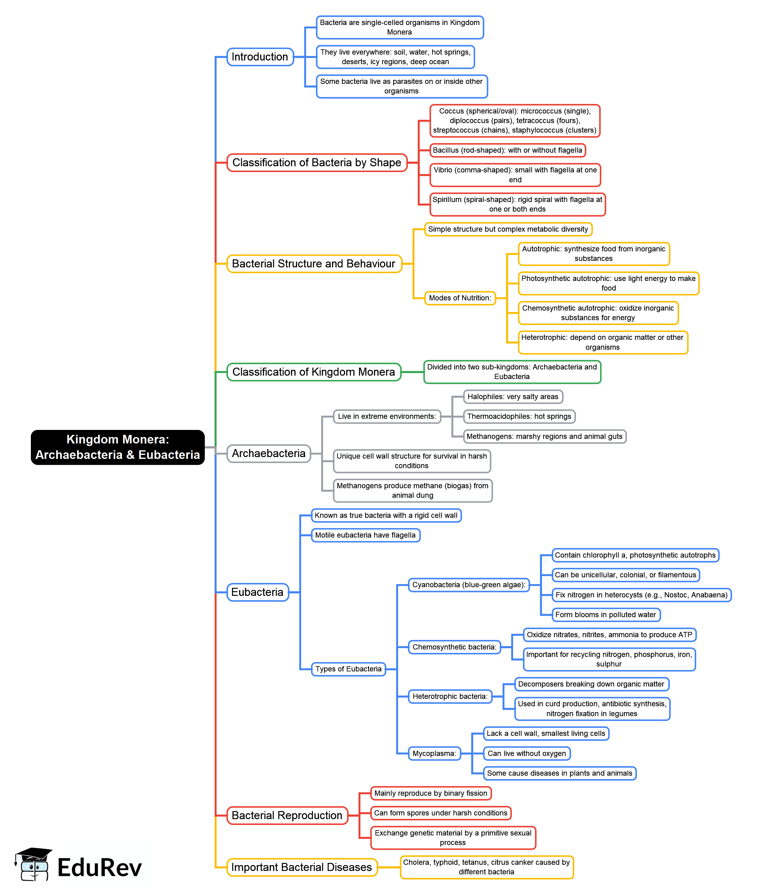 Mind Map: Archaebacteria and Eubacteria - Grade 9 PDF Download