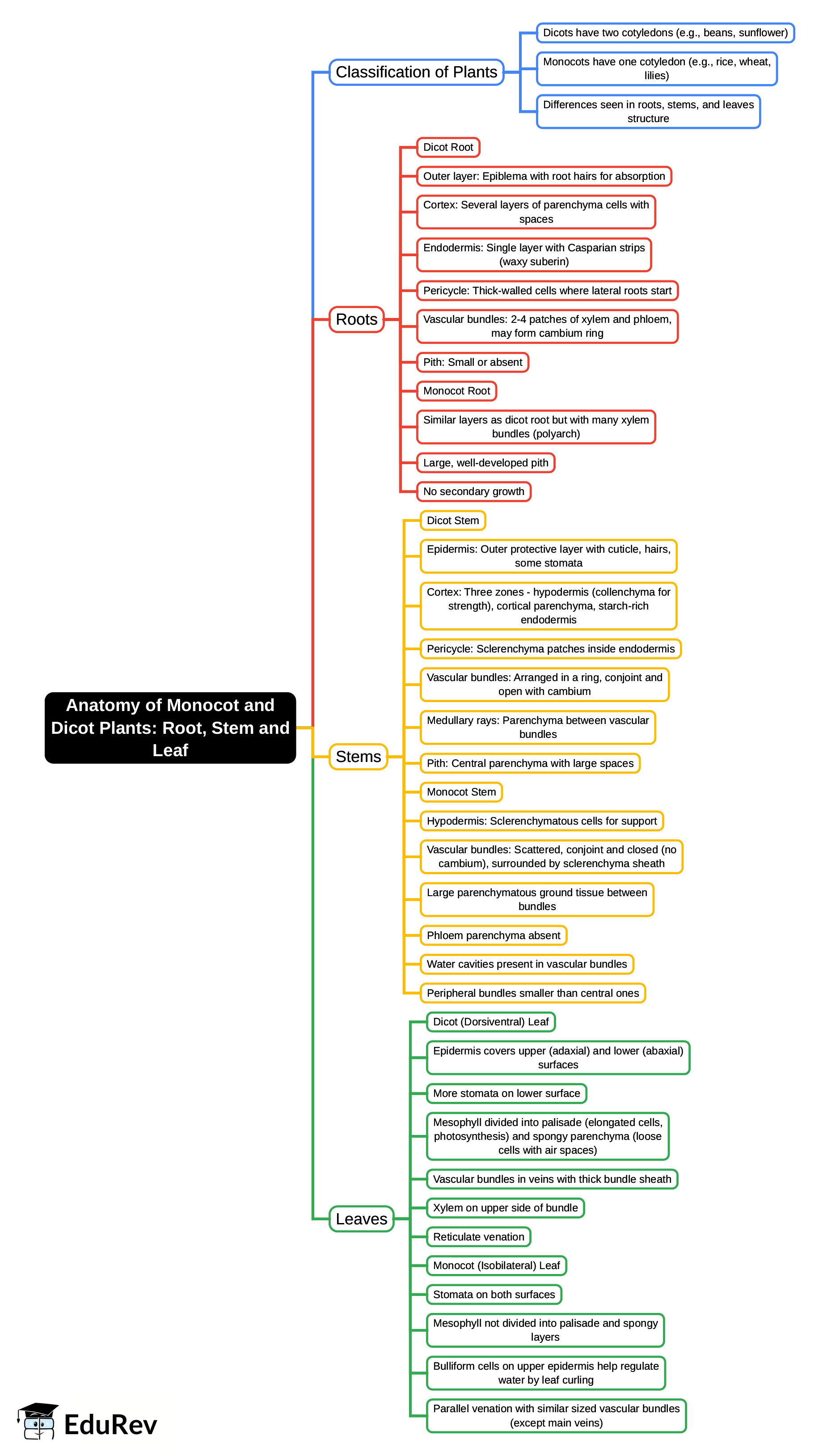 Mind Map: Root, Stem and Leaf - JAMB PDF Download