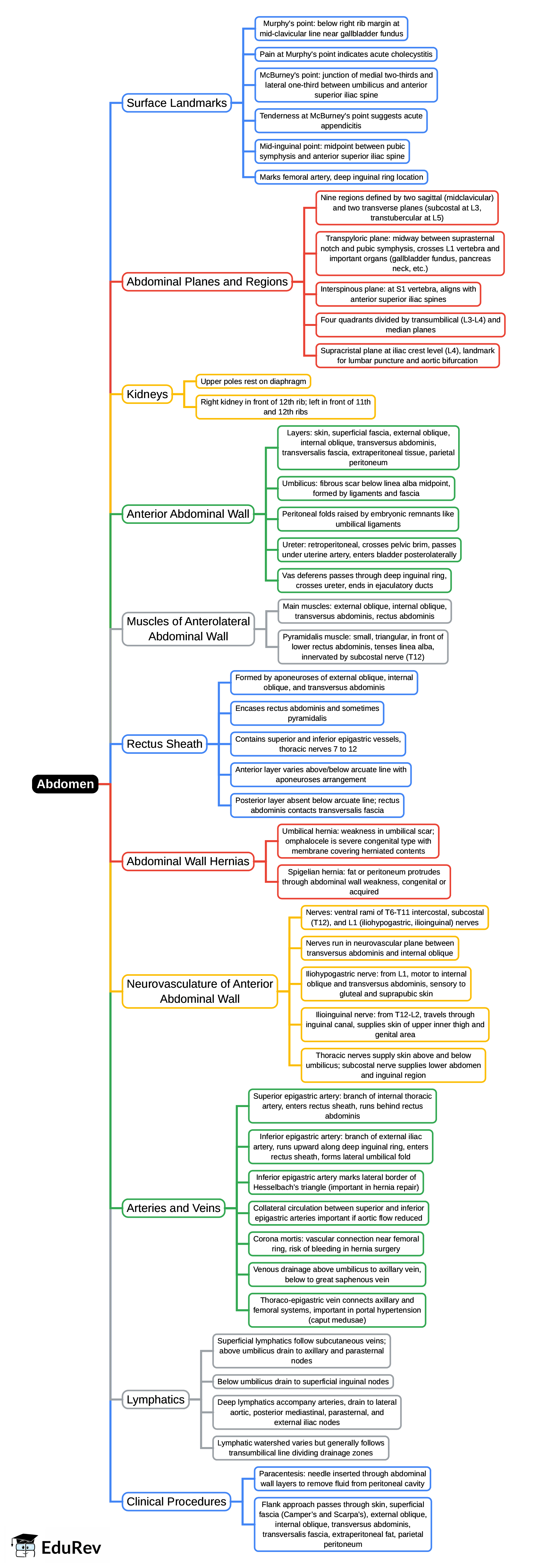 Mind Map: Abdomen - Anatomy - NEET PG PDF Download