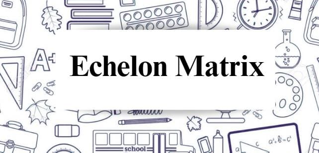 Echelon Form - Mathematics Optional Notes for UPSC PDF Download