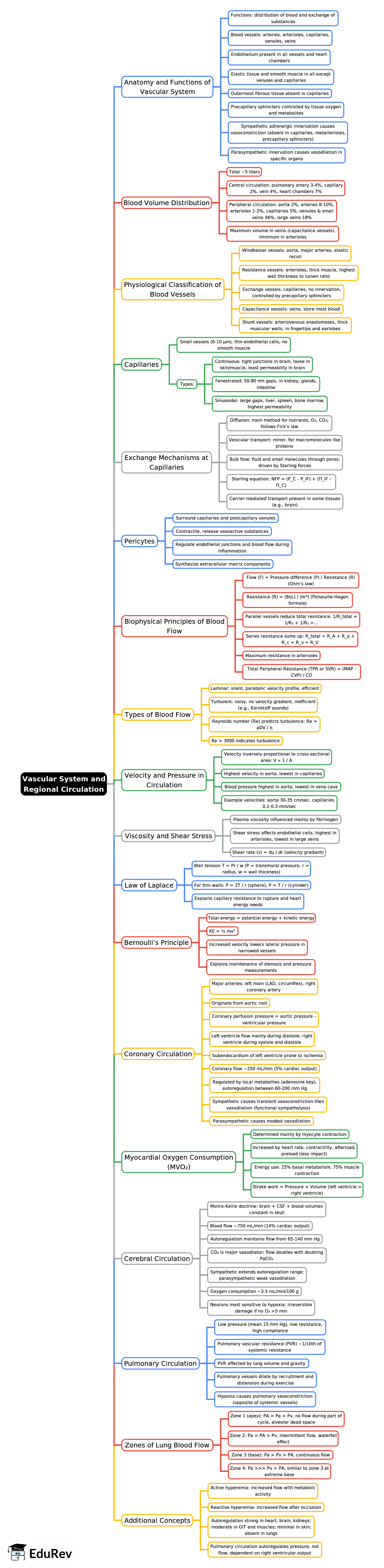 Mind Map: Vascular System and Regional Circulation - Physiology - NEET ...