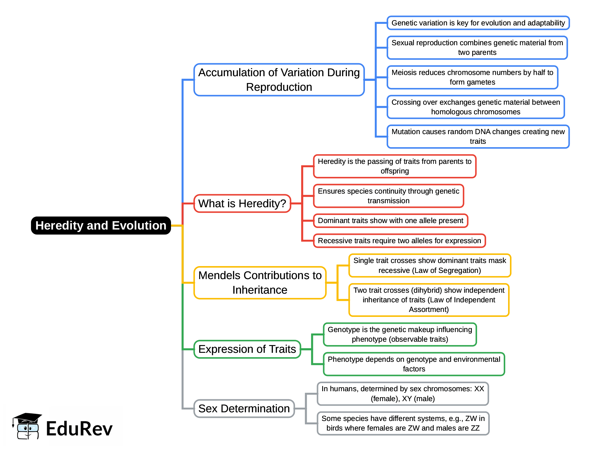 Mind Map: Heredity and Evolution - Class 10 PDF Download