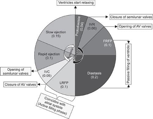 Cardiac Output and Regulation Chapter Notes - Physiology - NEET PG PDF