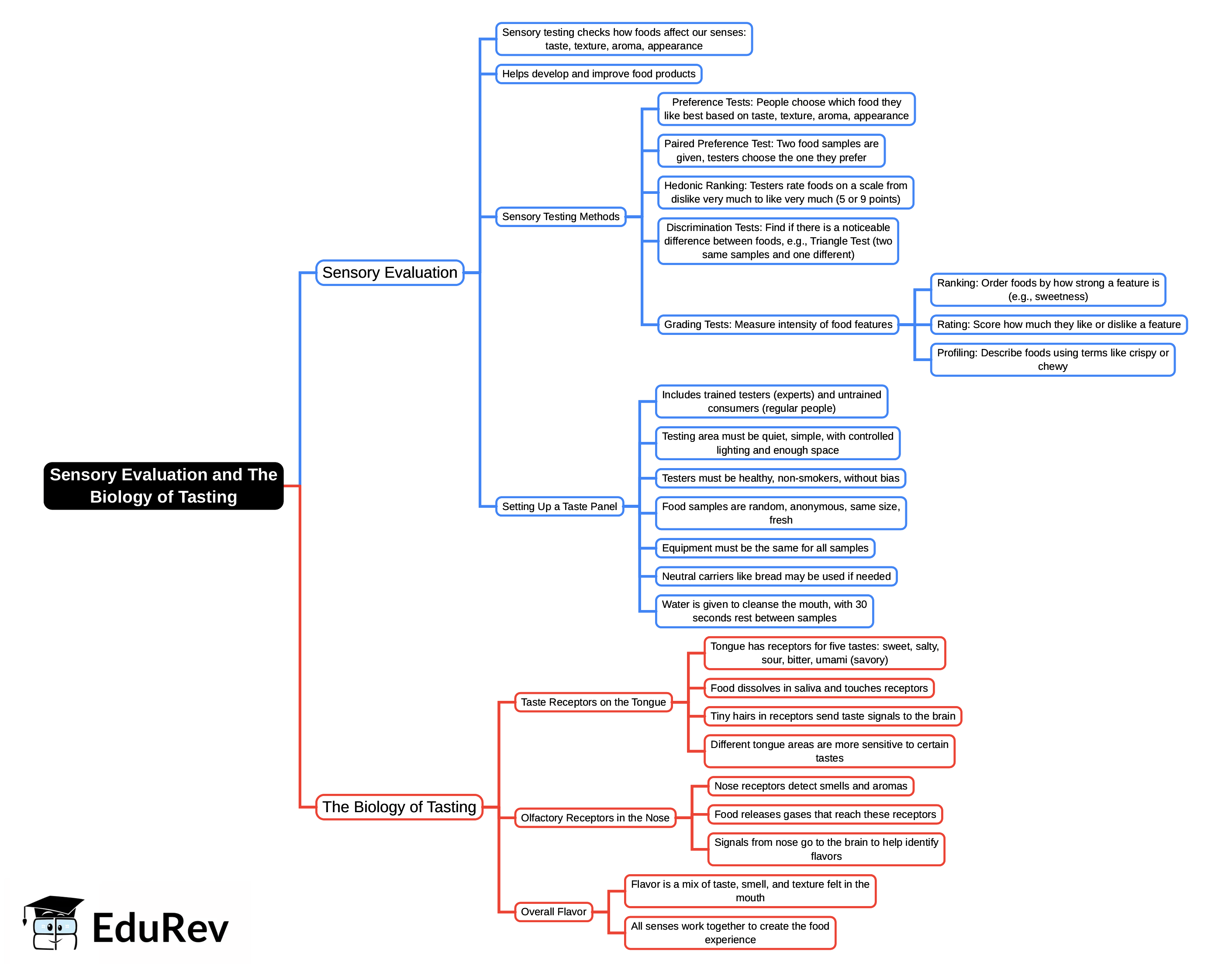 Mind Map: Sensory Evaluation, The Biology of Tasting - Year 6 PDF Download