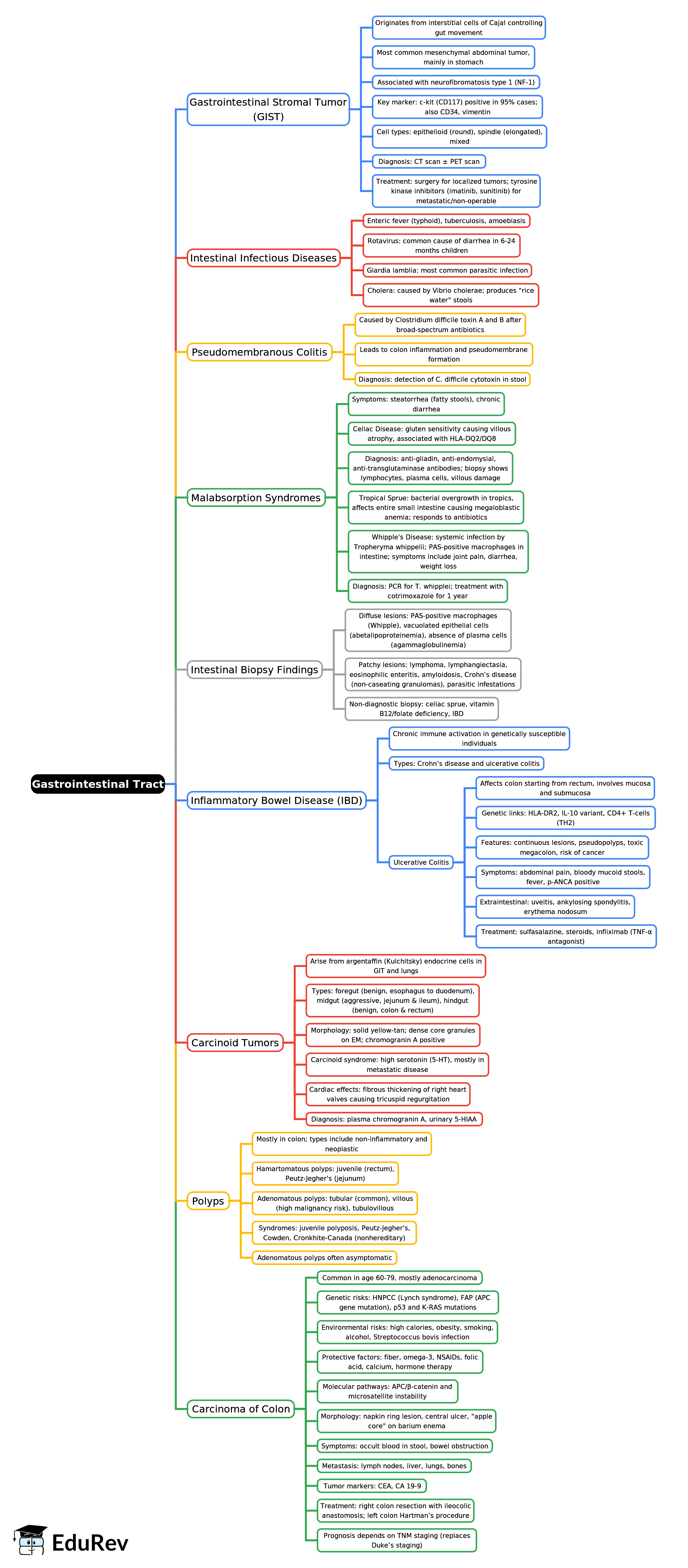 Mind Map: Gastrointestinal Tract -2 - Pathology - NEET PG PDF Download