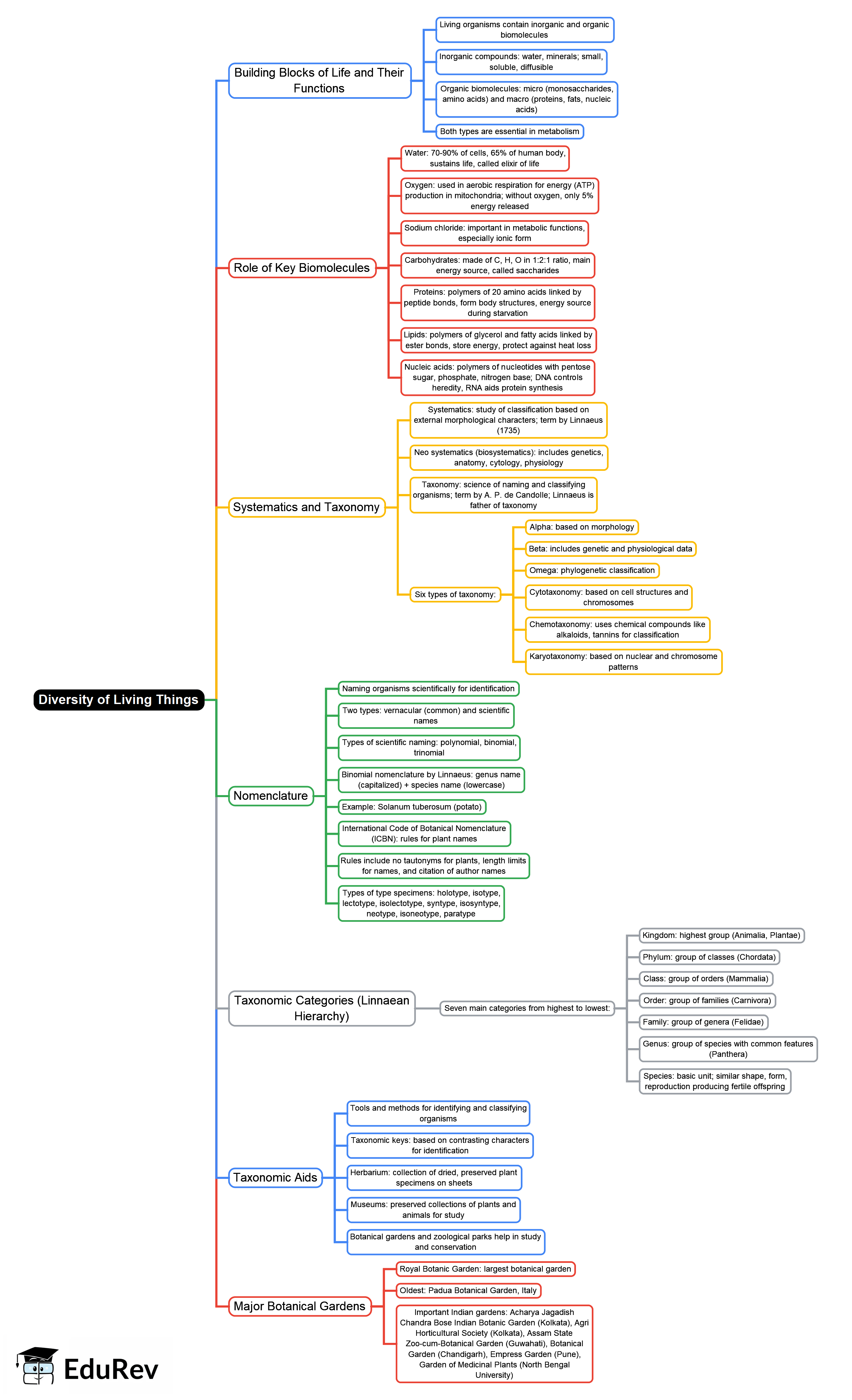 Diversity of Living Things Mind Map - Grade 11 PDF Download