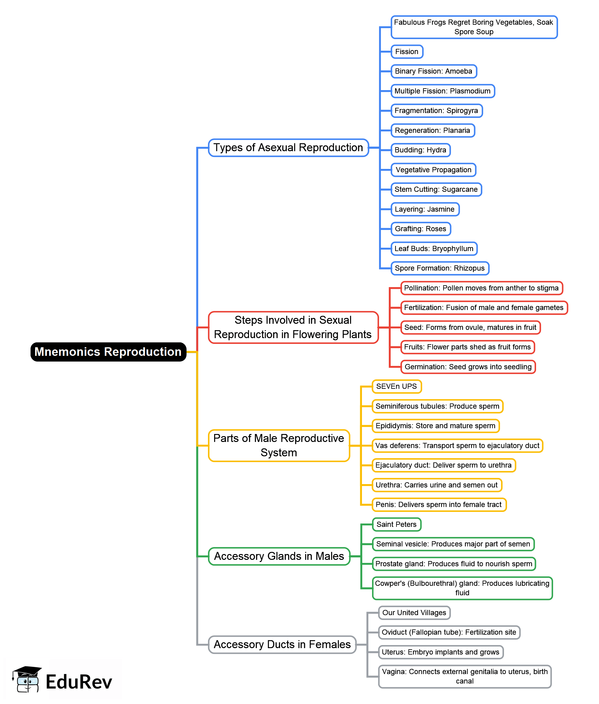 Reproduction Mind Map - Class 10 Olympiad Preparation PDF Download
