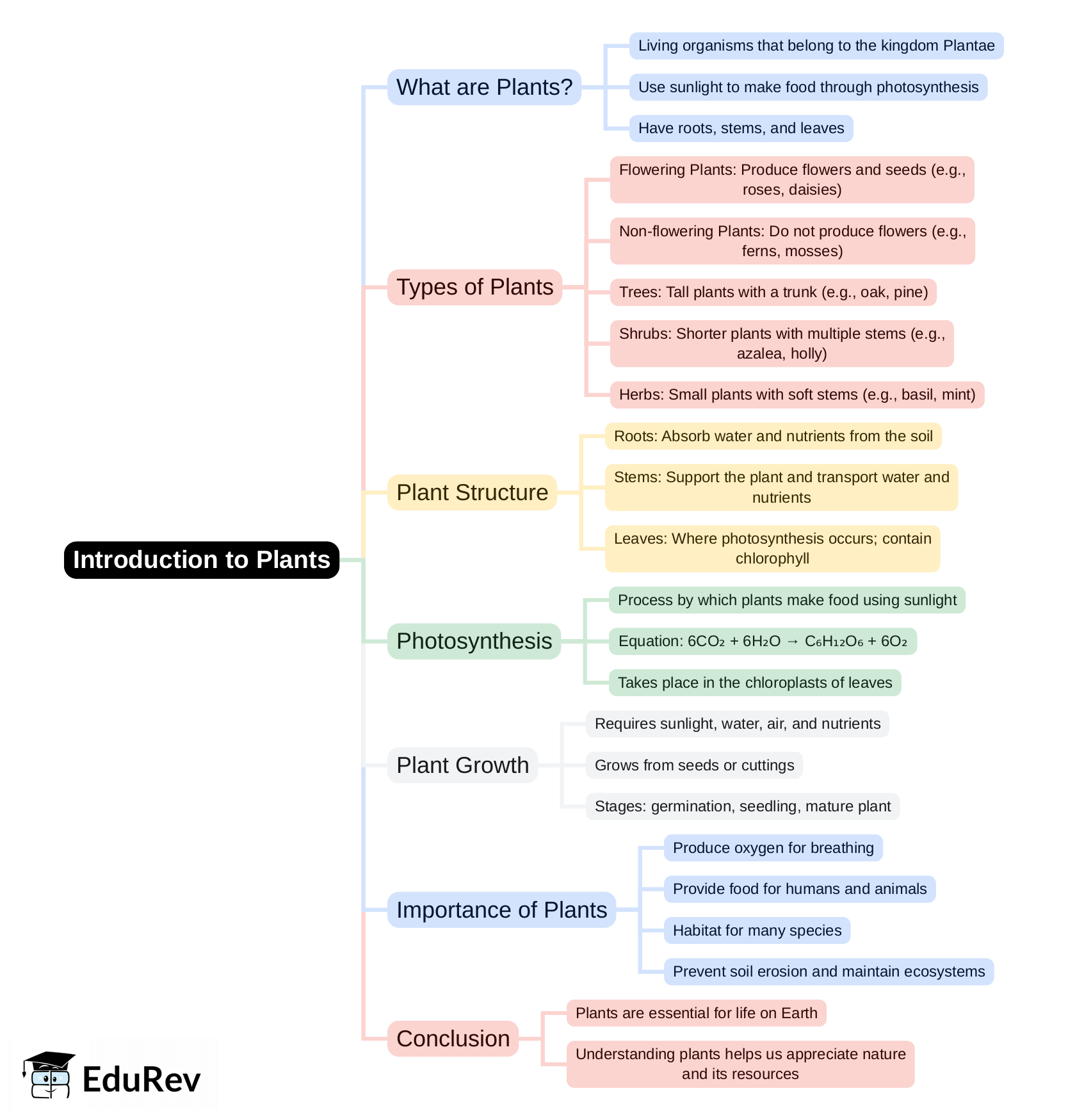 Mind Map - PDF Download