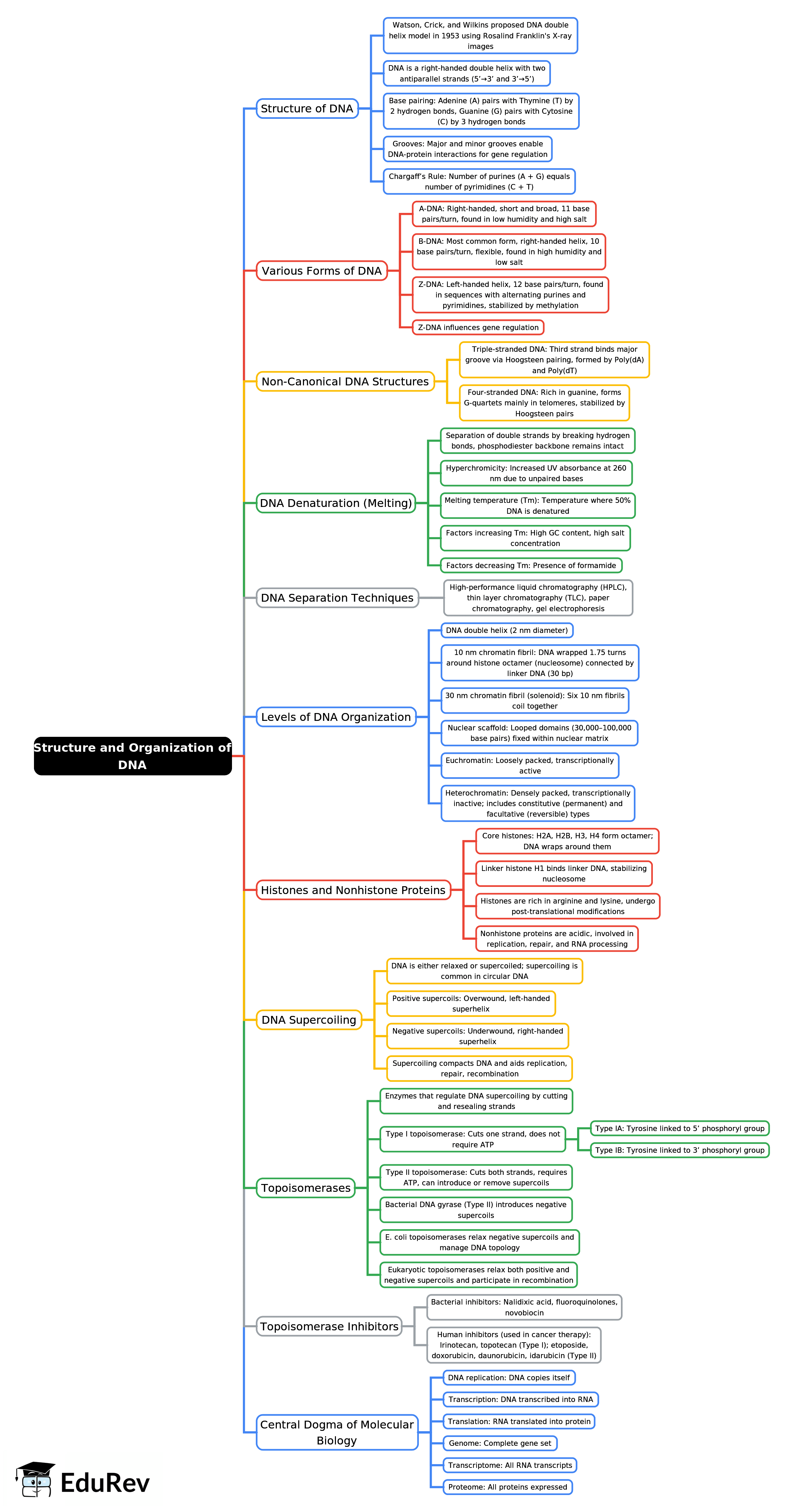 Mind Map: Structure and Organization of DNA - Biochemistry - NEET PG PDF Download