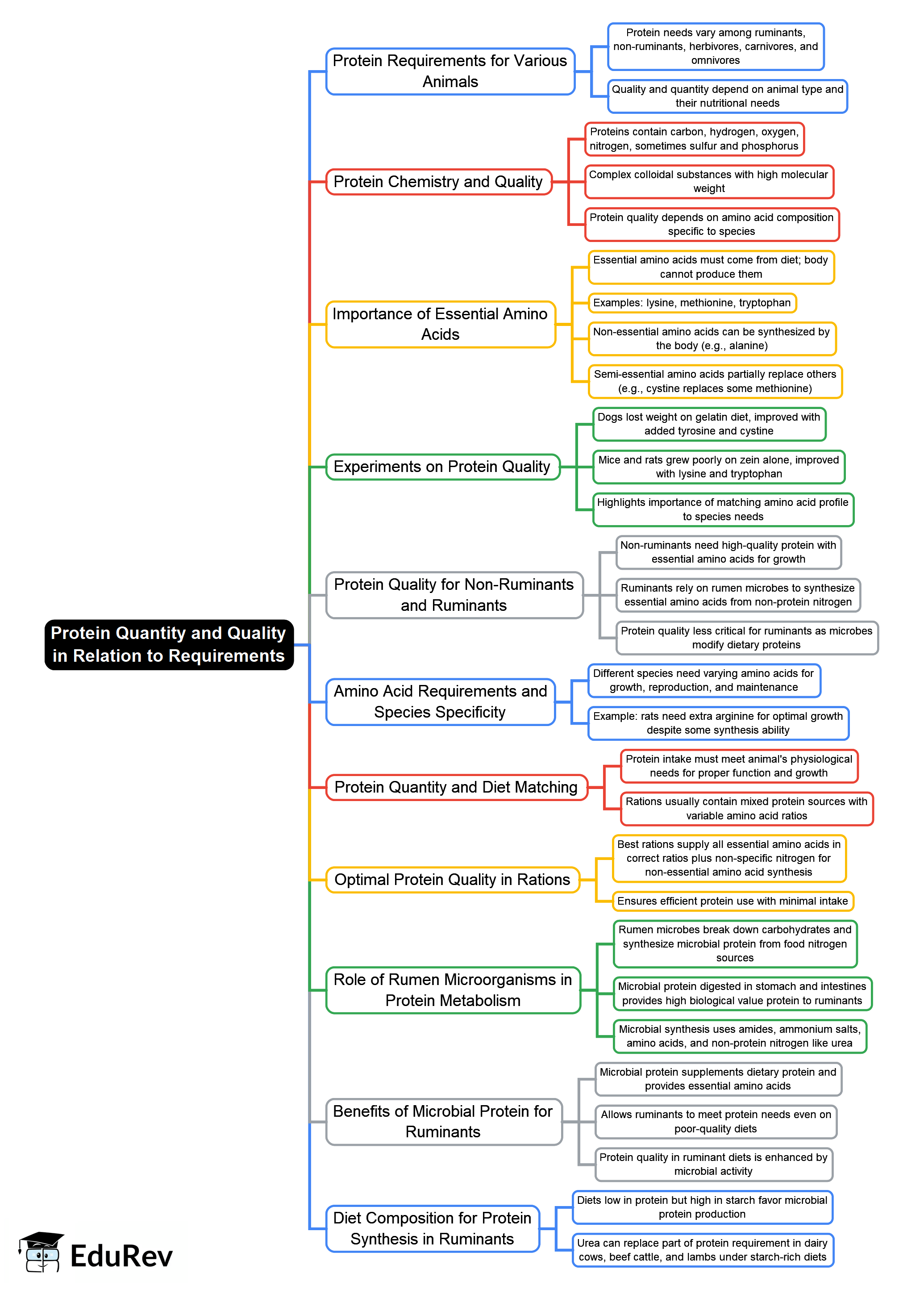Mind Map: Protein Quantity and Quality in Relation to Requirements ...