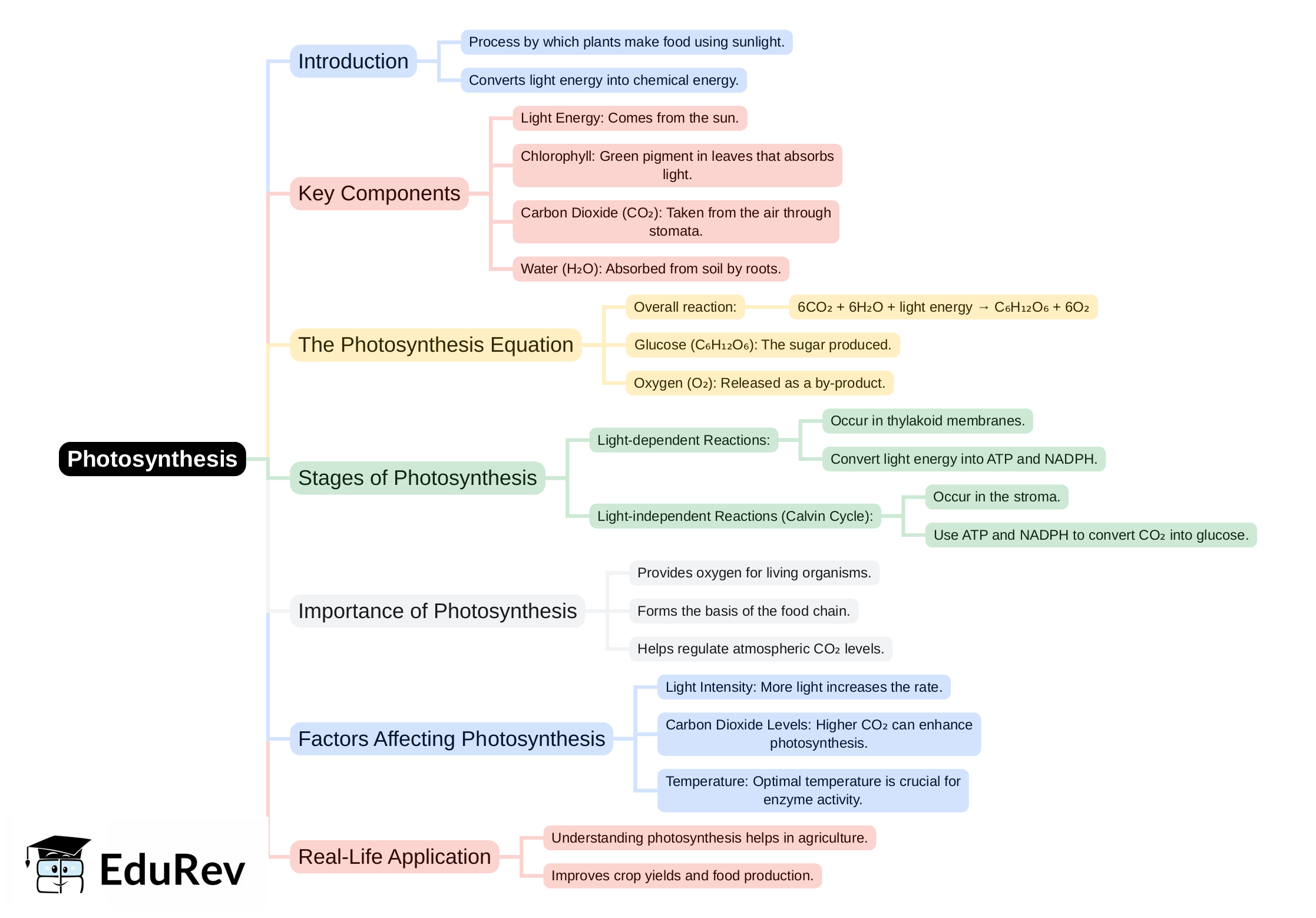 Mind Map: PDF Download