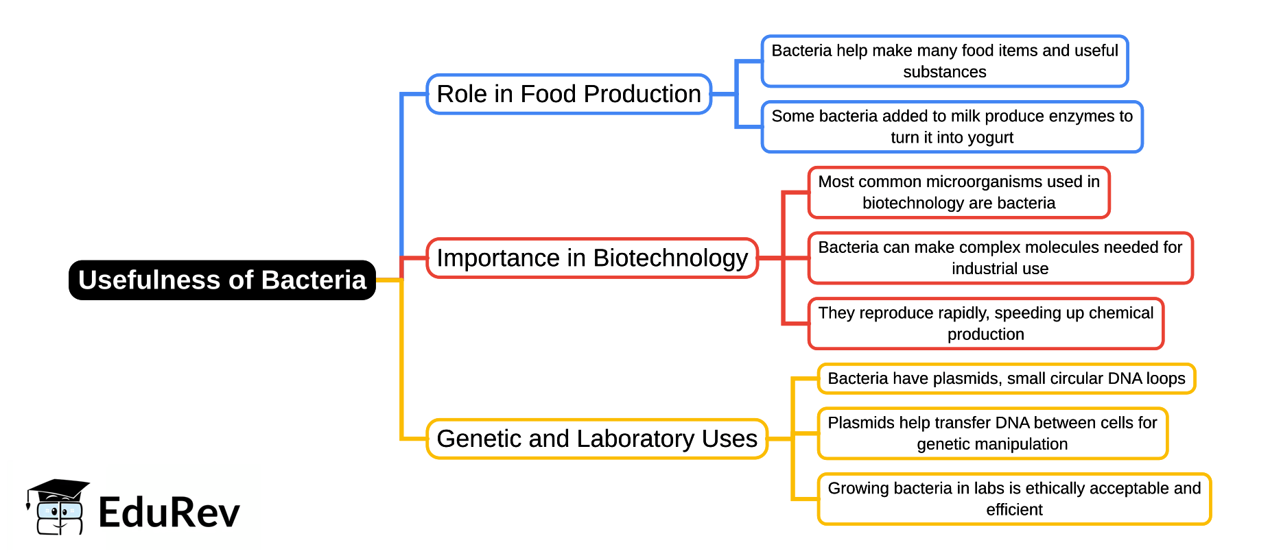 Mind Map: Usefulness of Bacteria - Class 10 PDF Download
