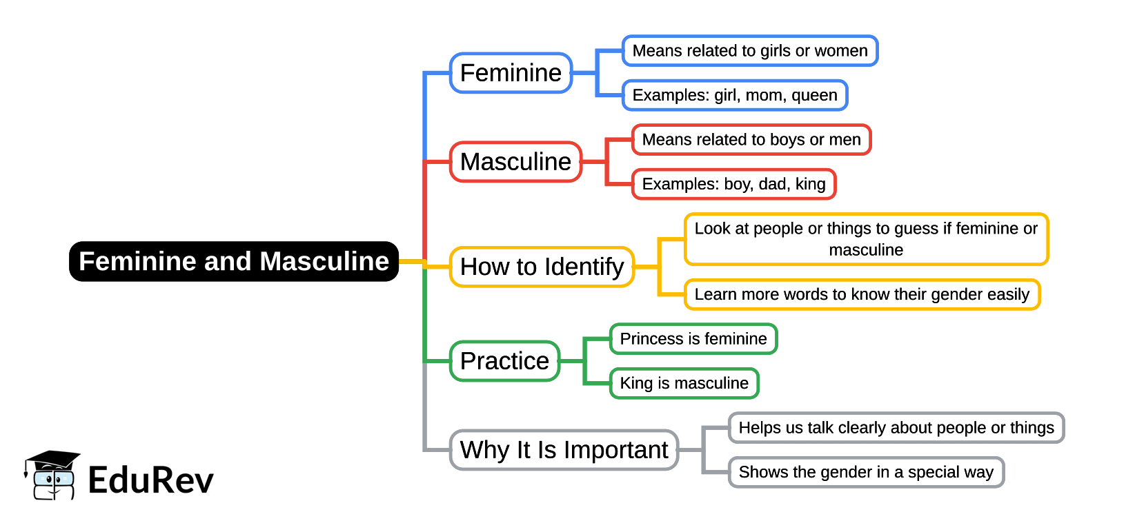 Mind Map: Feminine and Masculine - Class 1 PDF Download