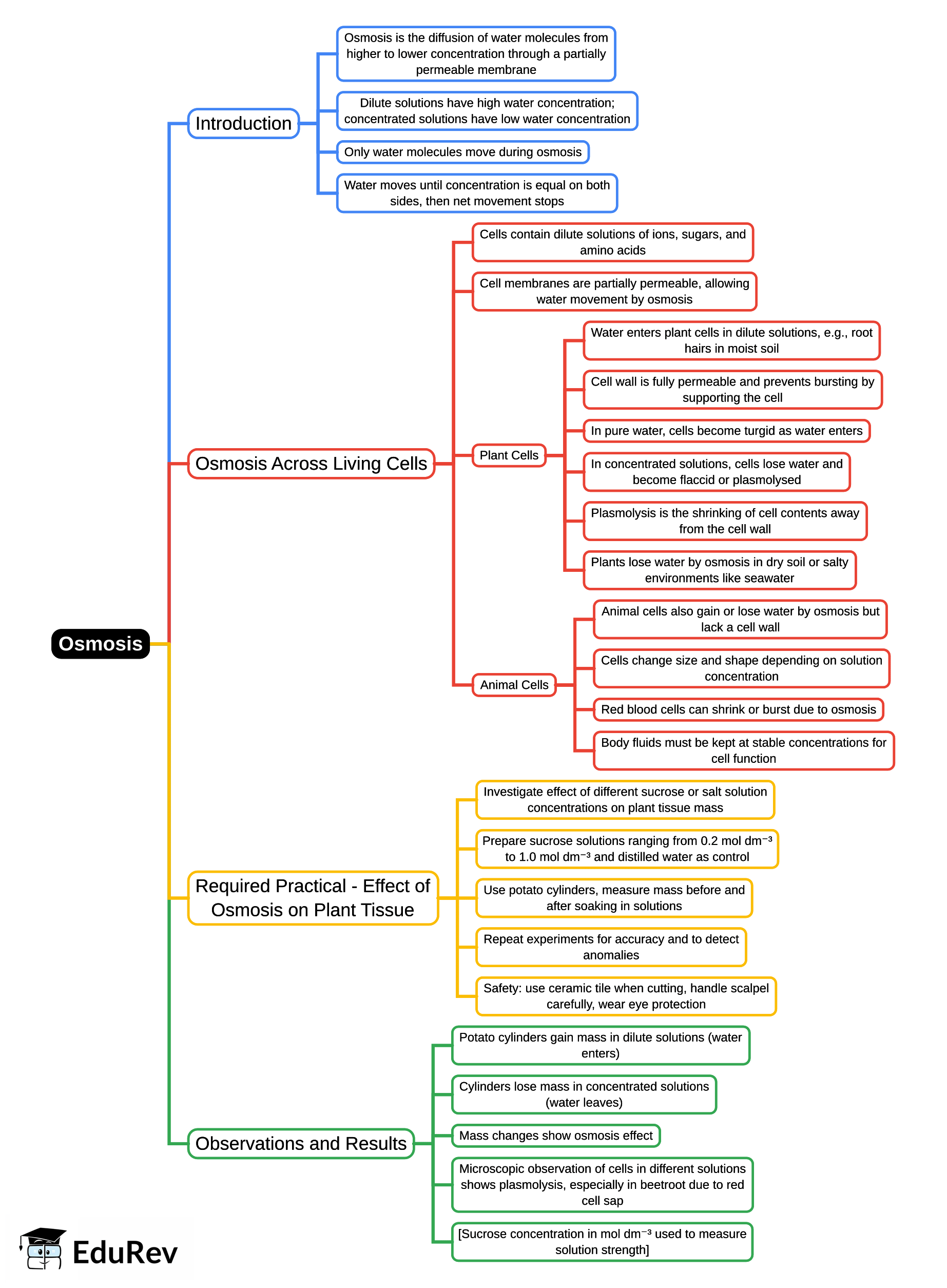 Osmosis Mind Map - Grade 10 Biology PDF Download