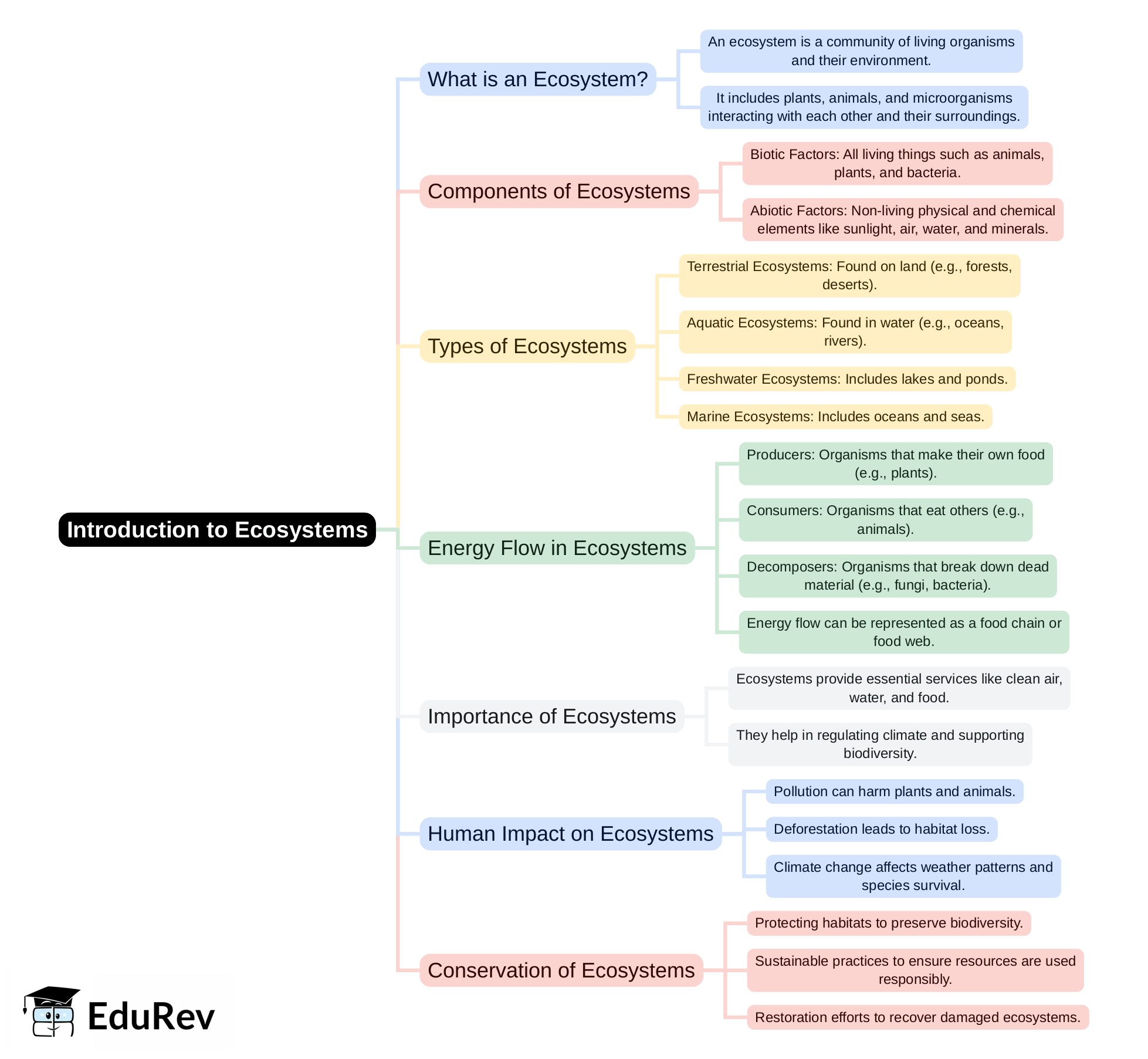 Mind Map: PDF Download