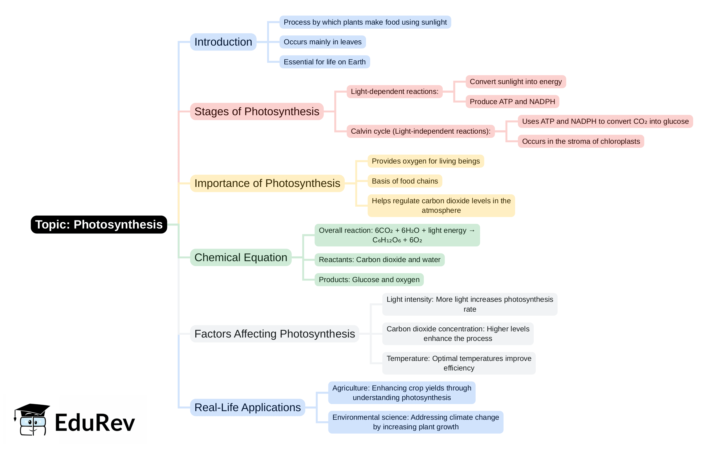 Mind Map: PDF Download