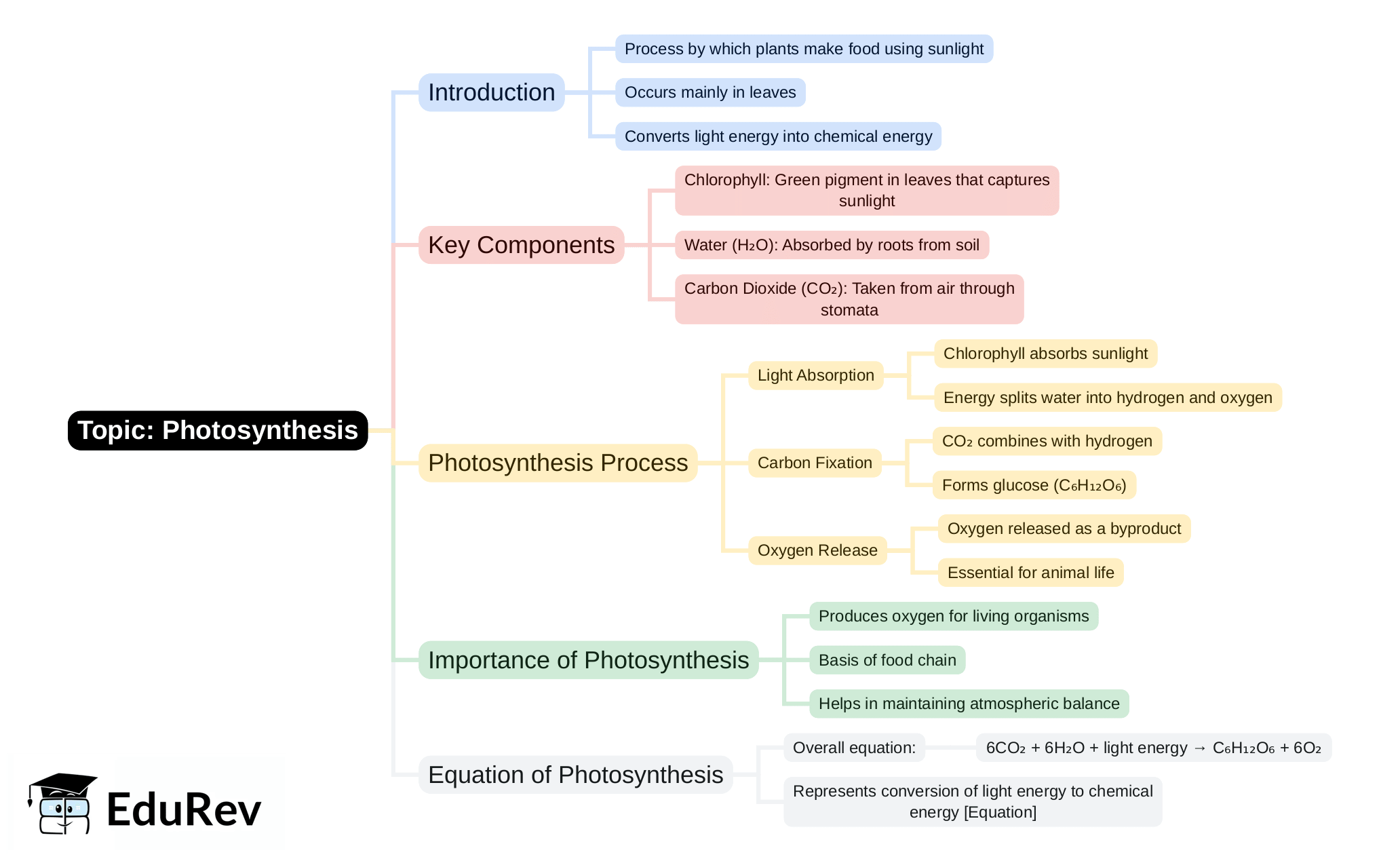 Mind Map: PDF Download