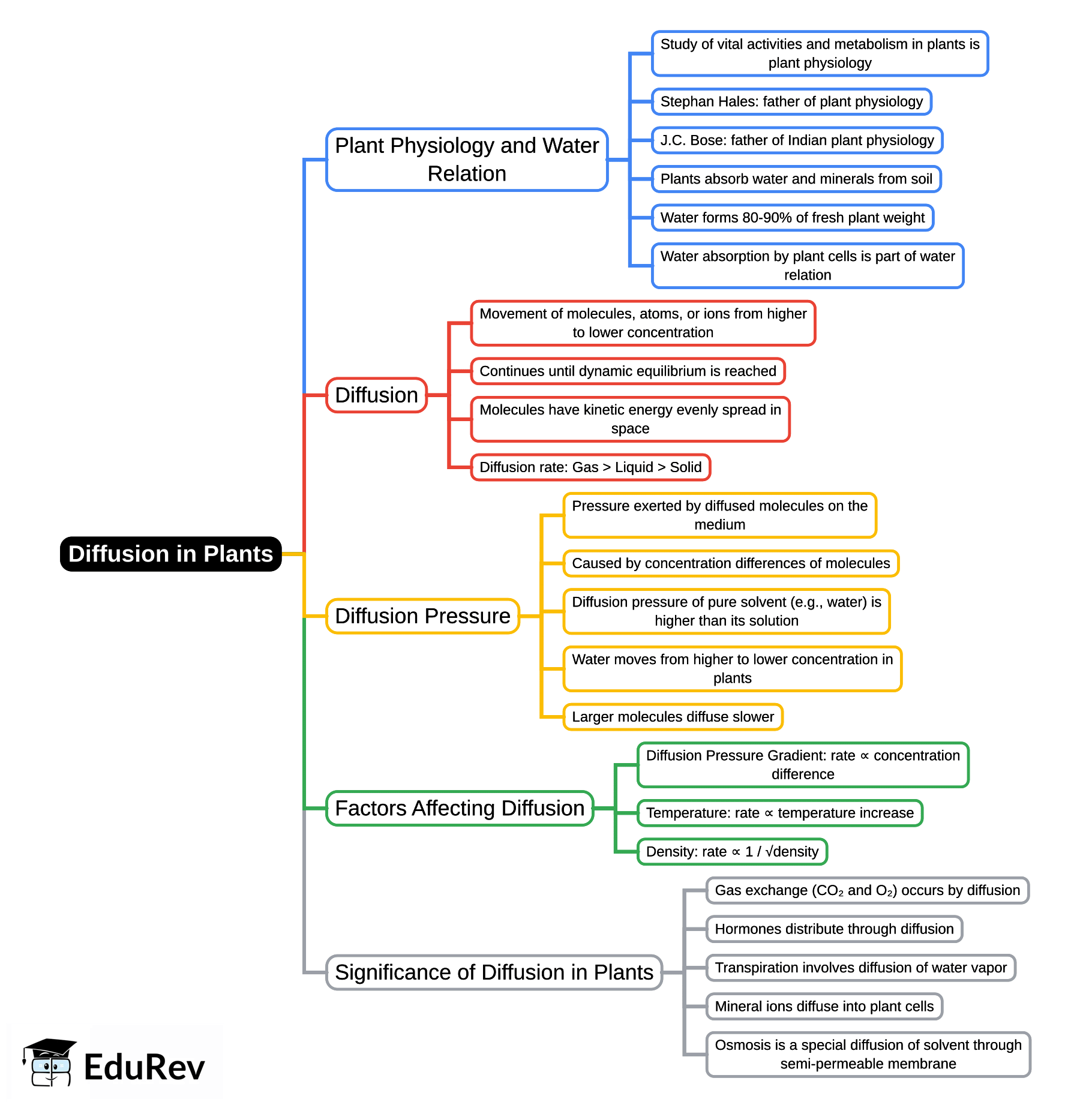 Diffusion in Plants Mind Map - JAMB Biology PDF Download