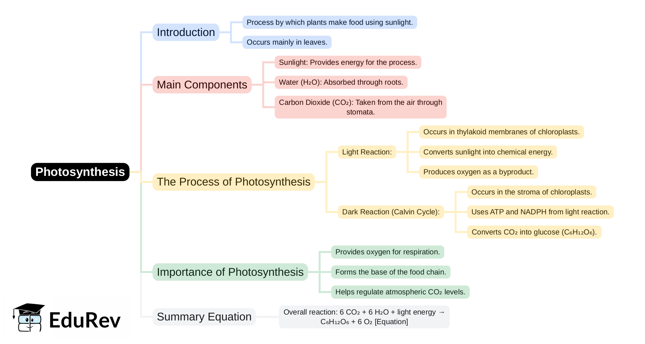 Mind Map: PDF Download