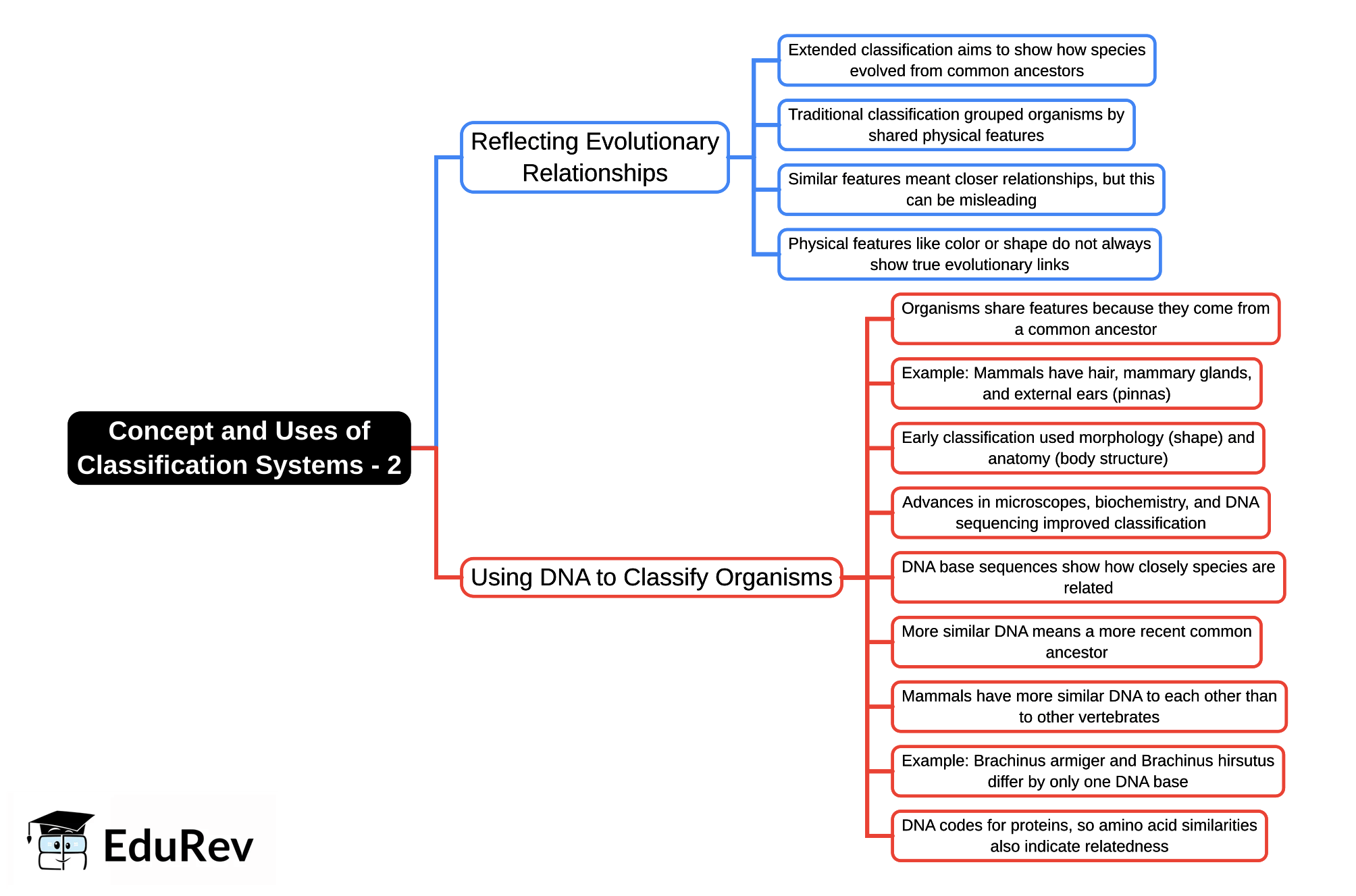 Concept and Uses of Classification Systems - 2 Mind Map - Year 10 Biology