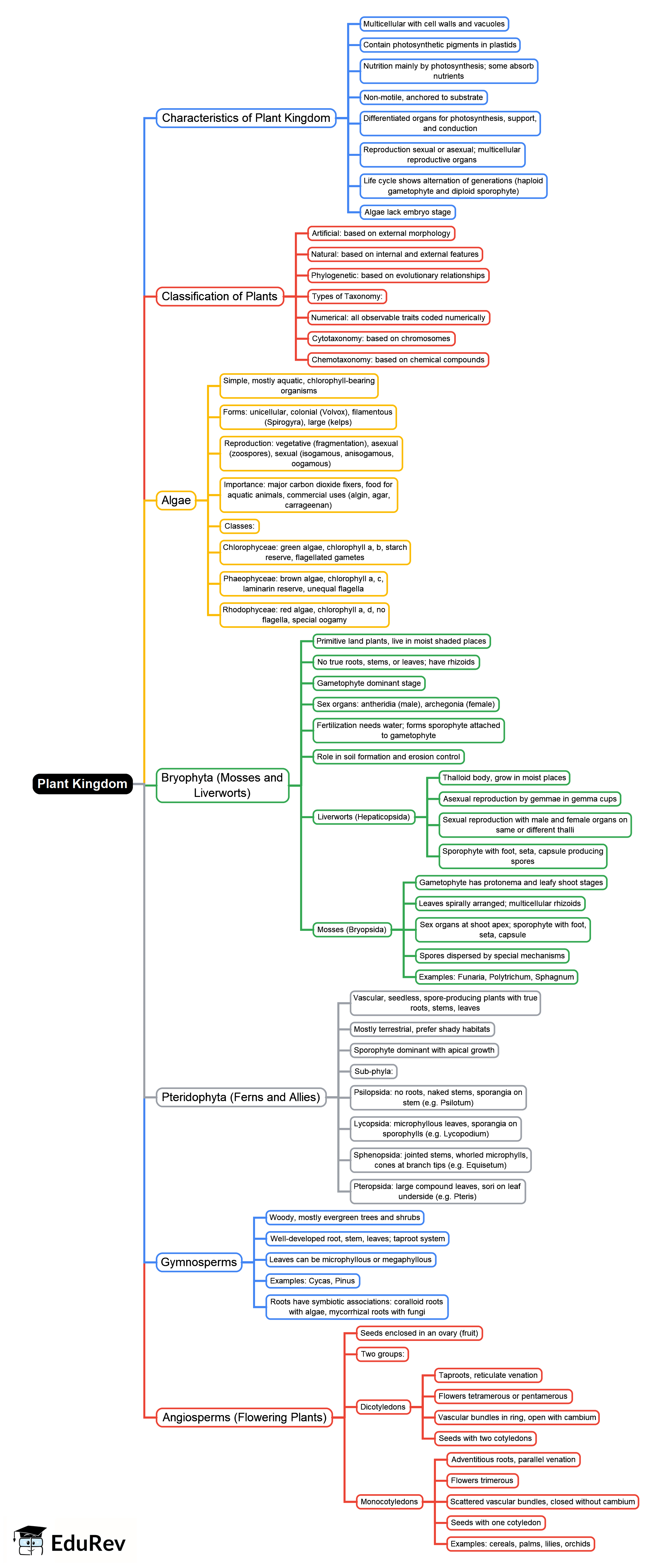 Plant Kingdom Mind Map - UPSC Lucent For GK PDF Download