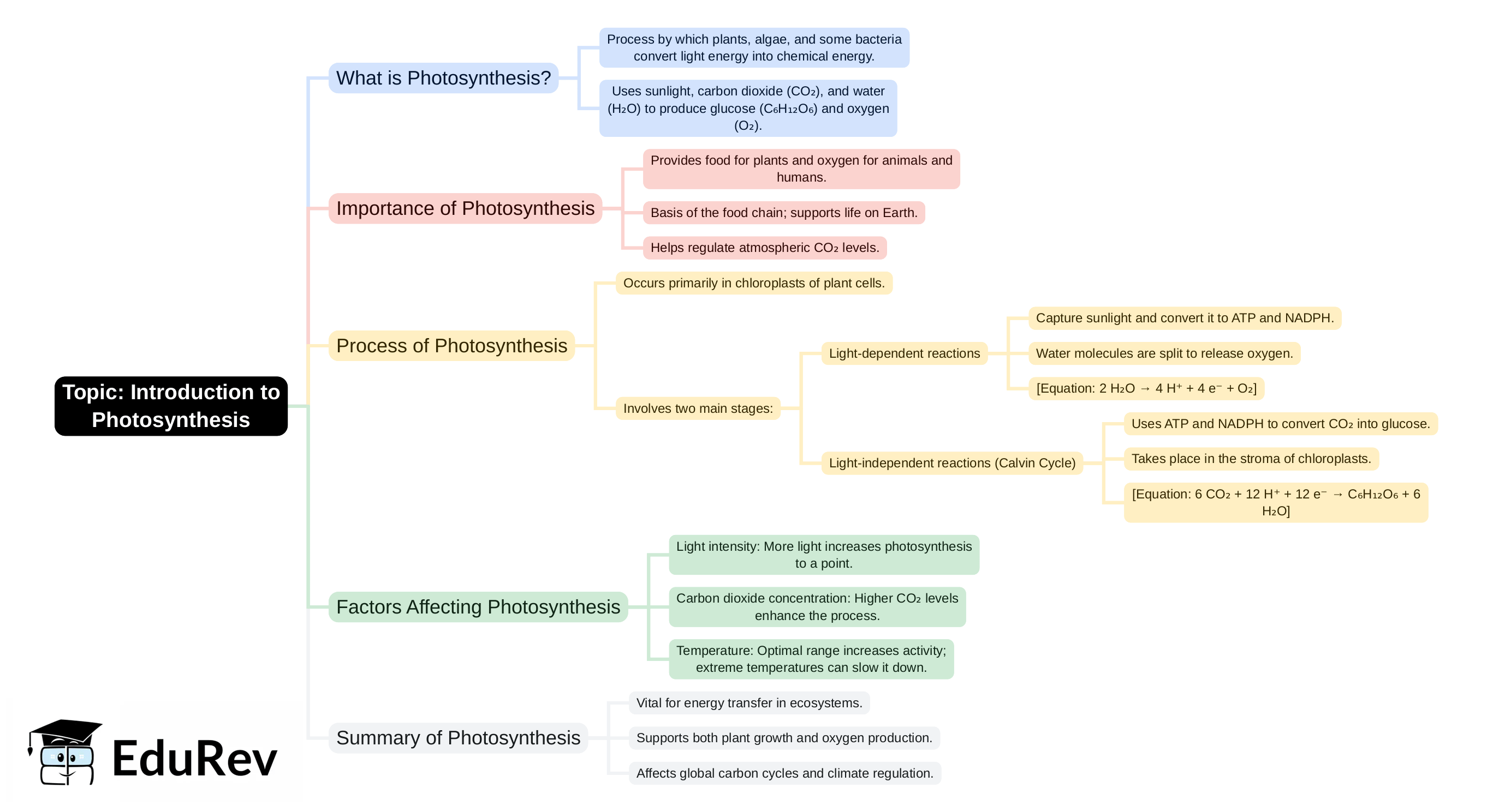 Mind Map: PDF Download
