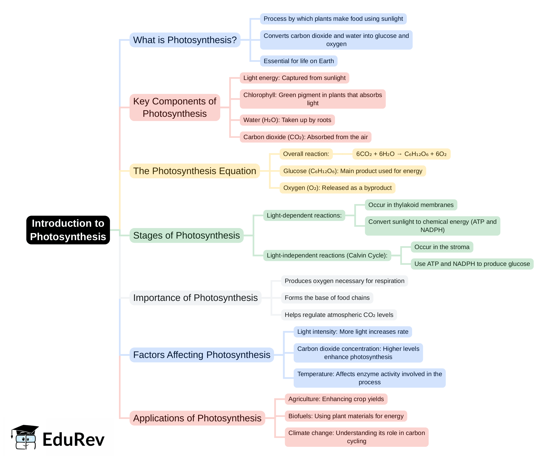 Mind Map: PDF Download