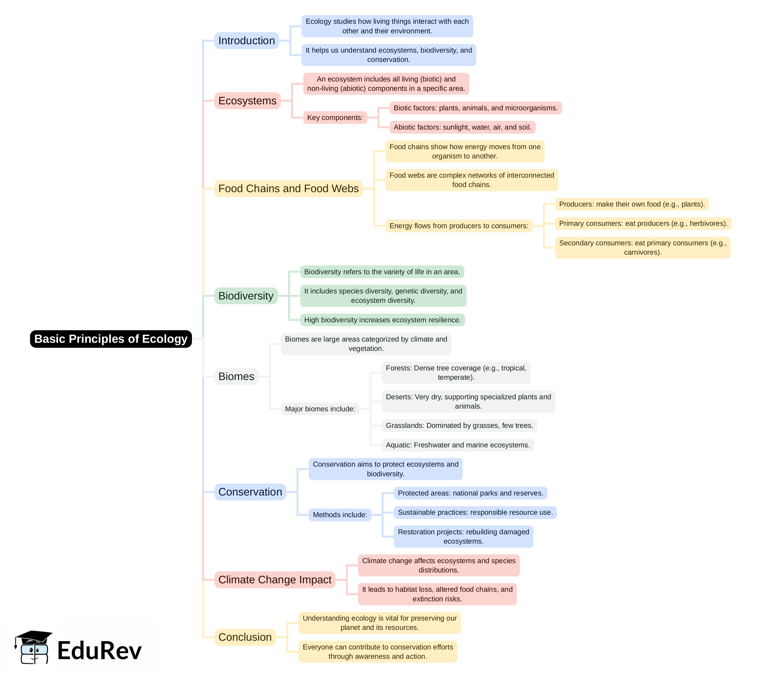 Mind Map - PDF Download