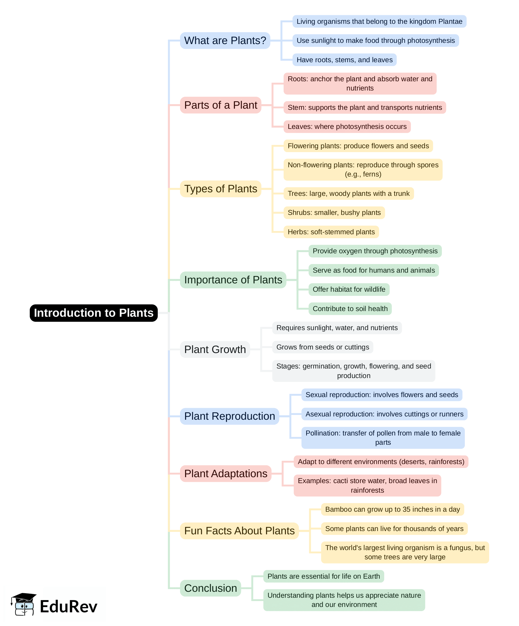 Mind Map: PDF Download