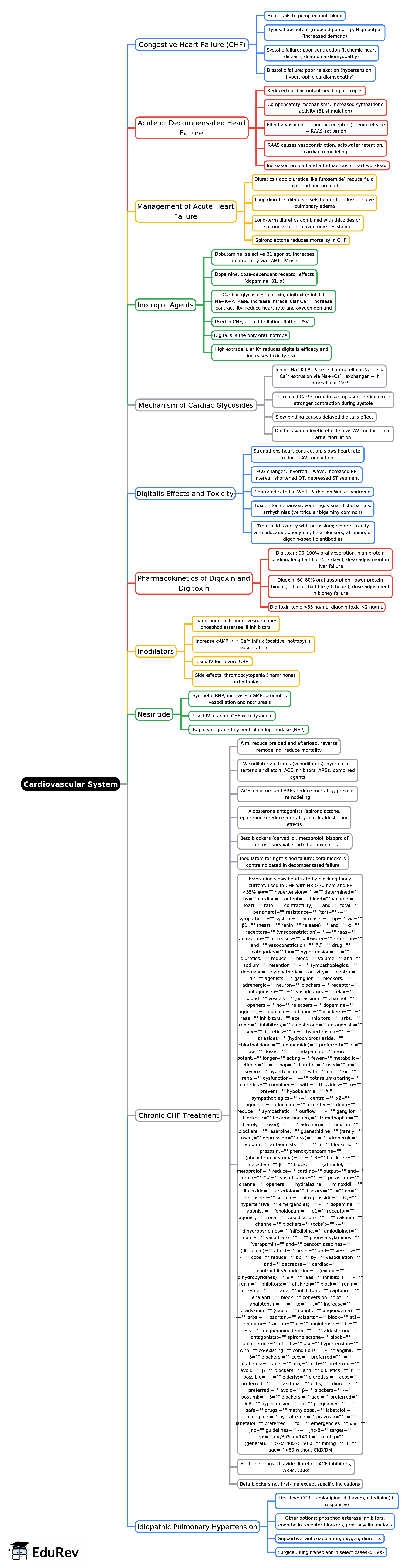 Mind Map: Cardiovascular System - NEET PG PDF Download