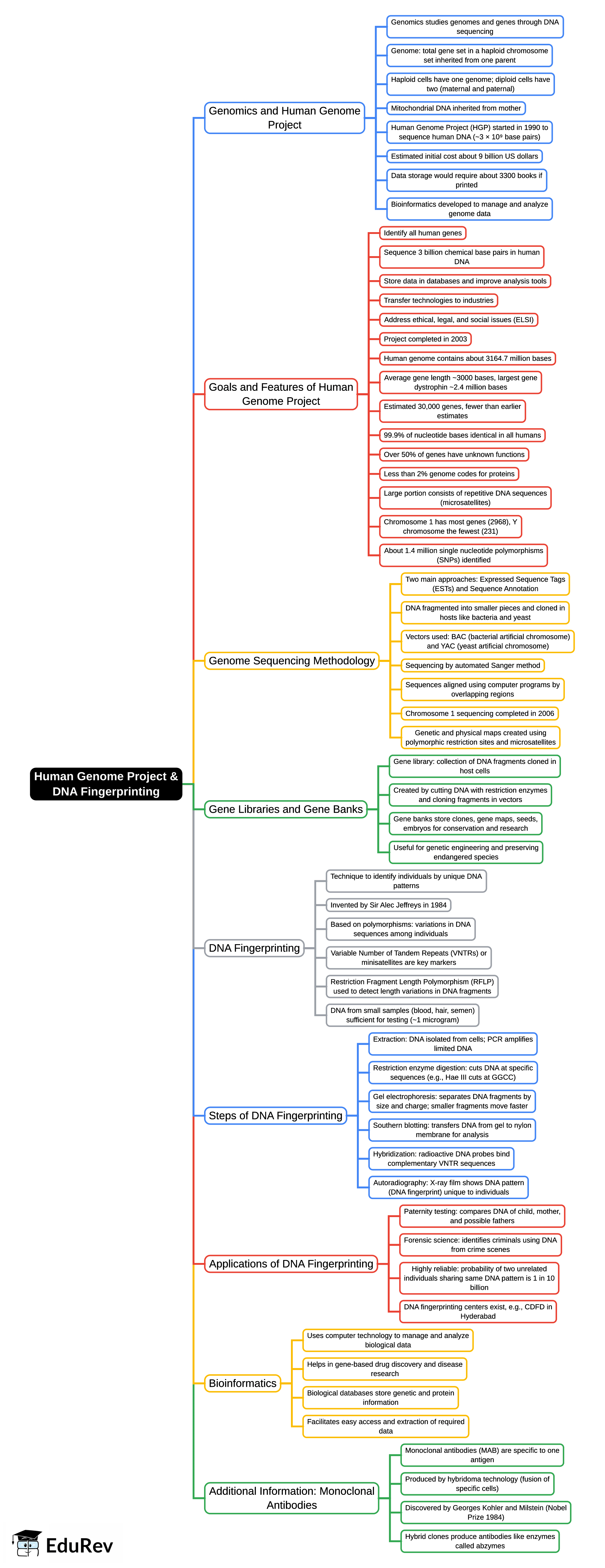 Mind Map: Human Genome Project and DNA Fingerprinting - Grade 9 PDF ...