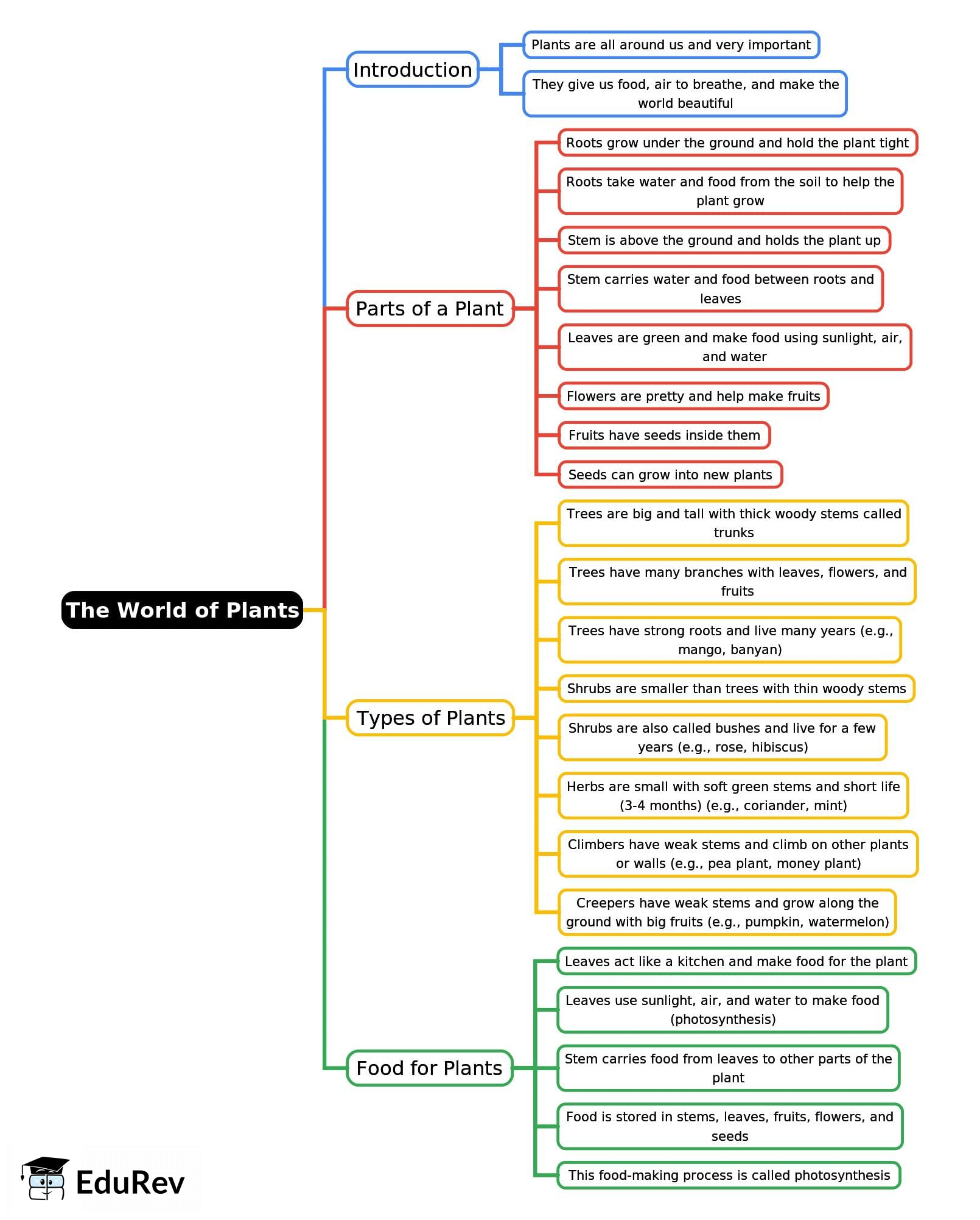 The World of Plants Mind Map - LKG EVS PDF Download