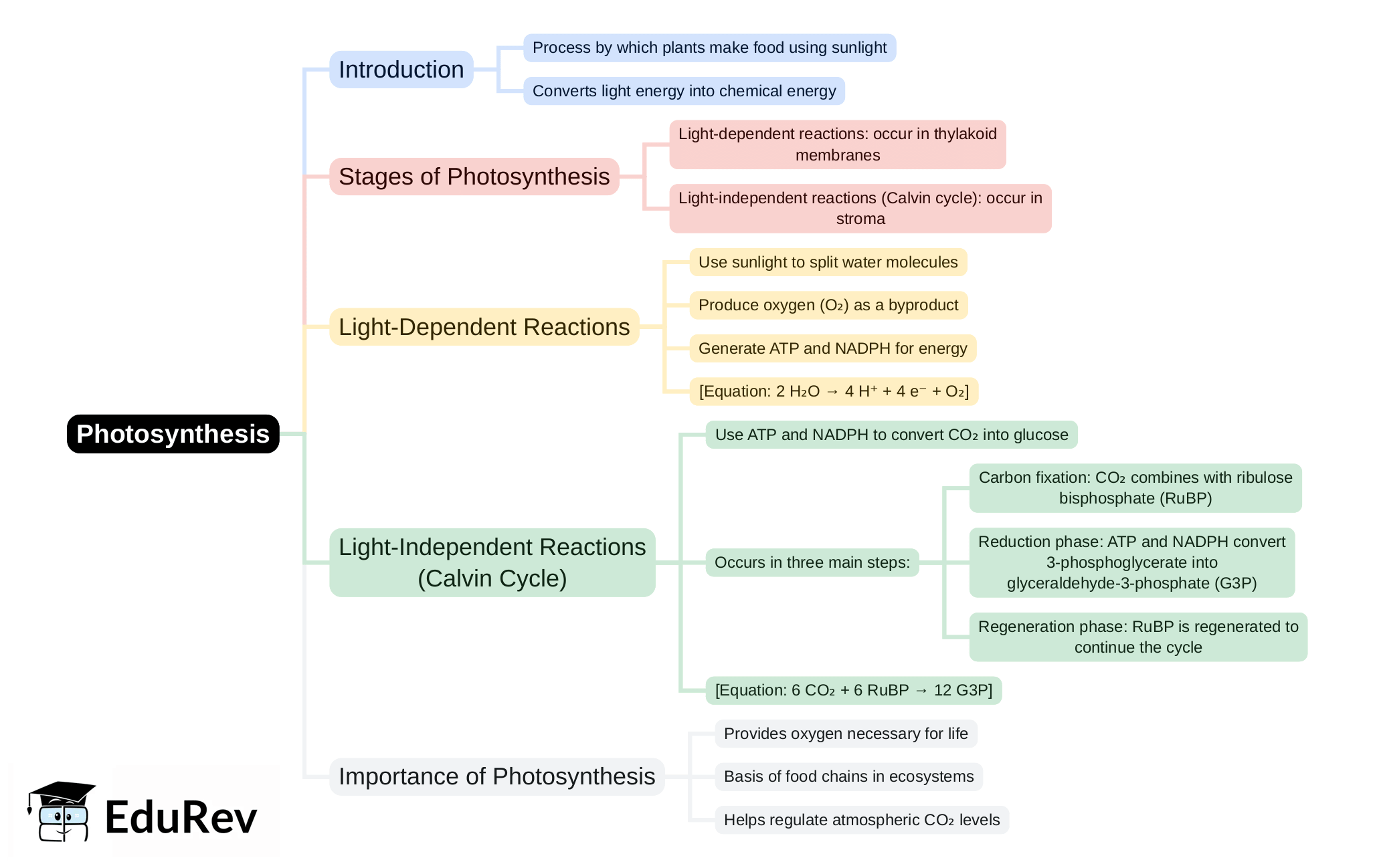 Mind Map - PDF Download