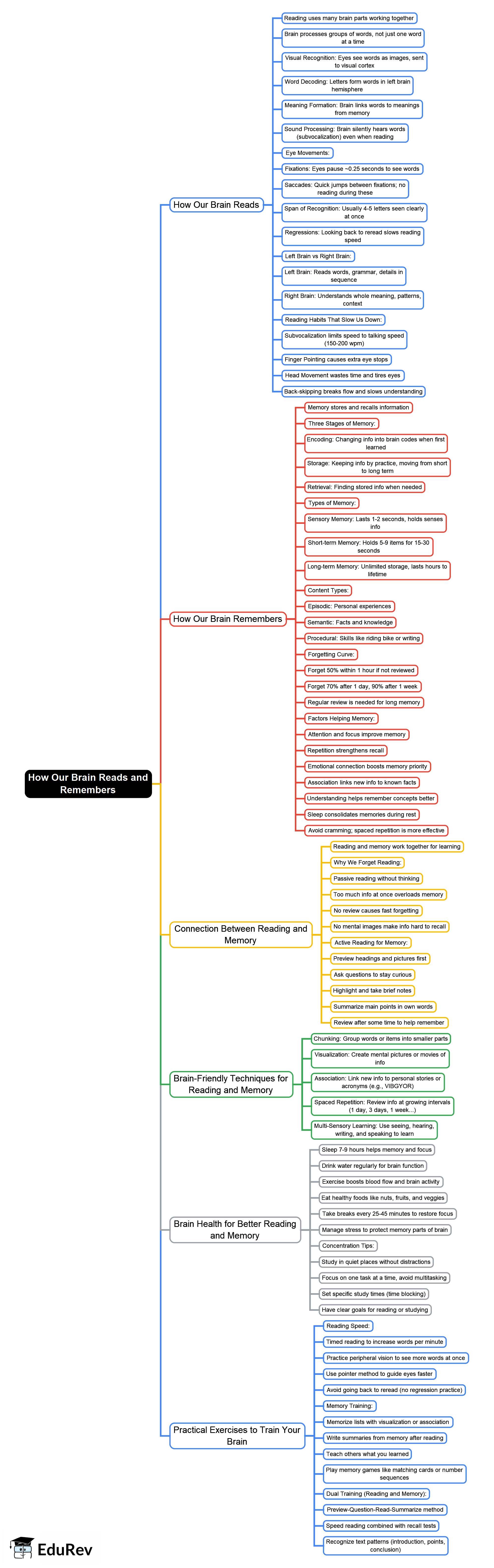 How Our Brain Reads and Remembers Mind Map - Class 6 PDF Download