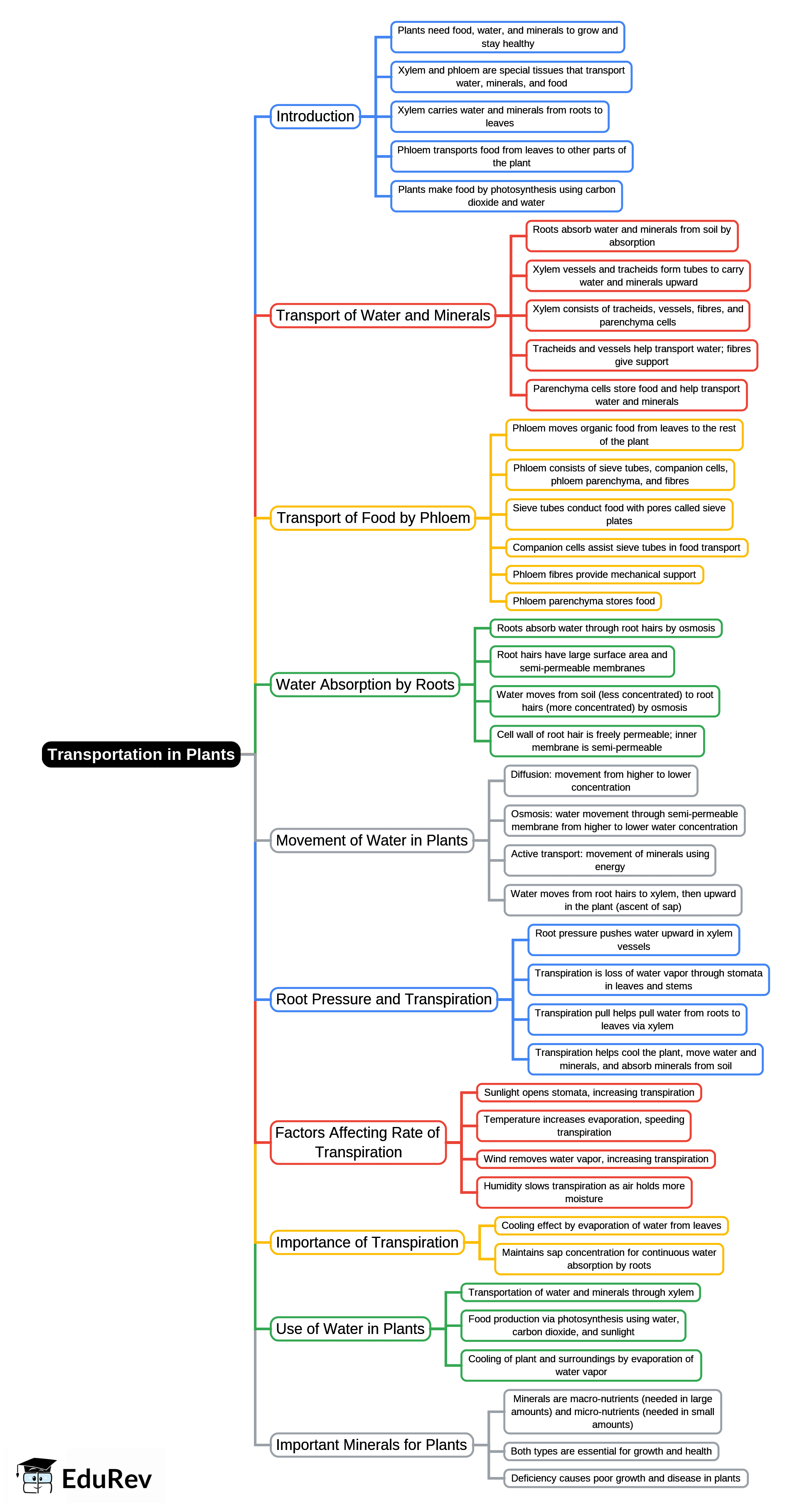 Mind Map: Transportation in Plants - Class 8 PDF Download