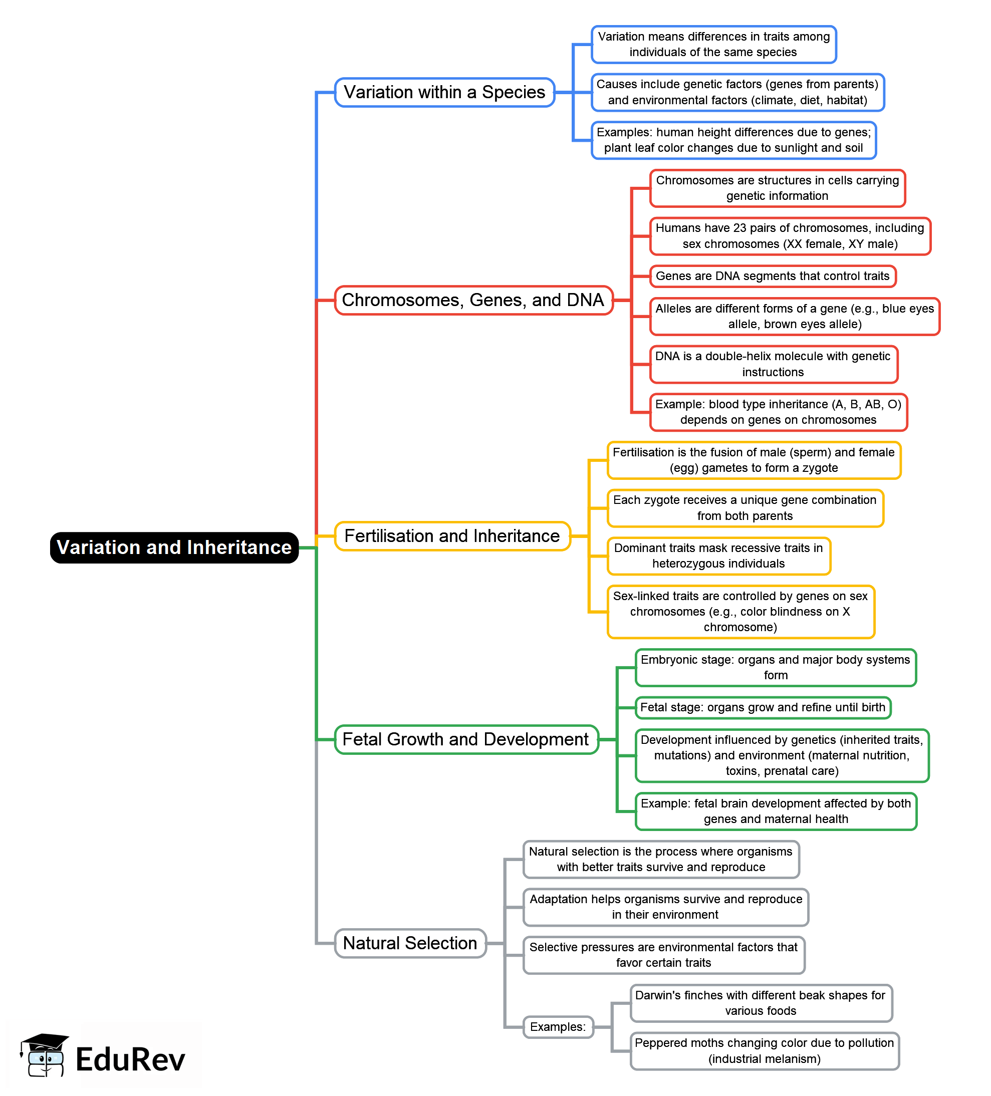 Variation and inheritance Mind Map - Class 9 PDF Download