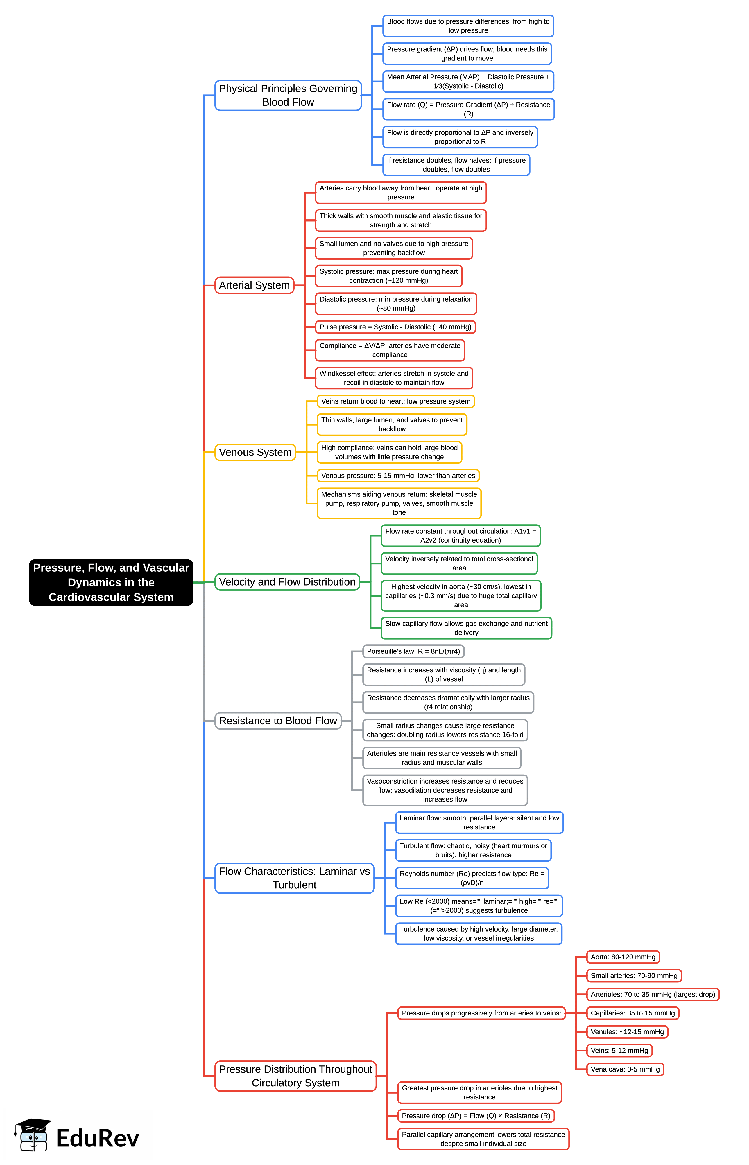 Mind Map: Pressure, Flow, and Vascular Dynamics in the Cardiovascular ...