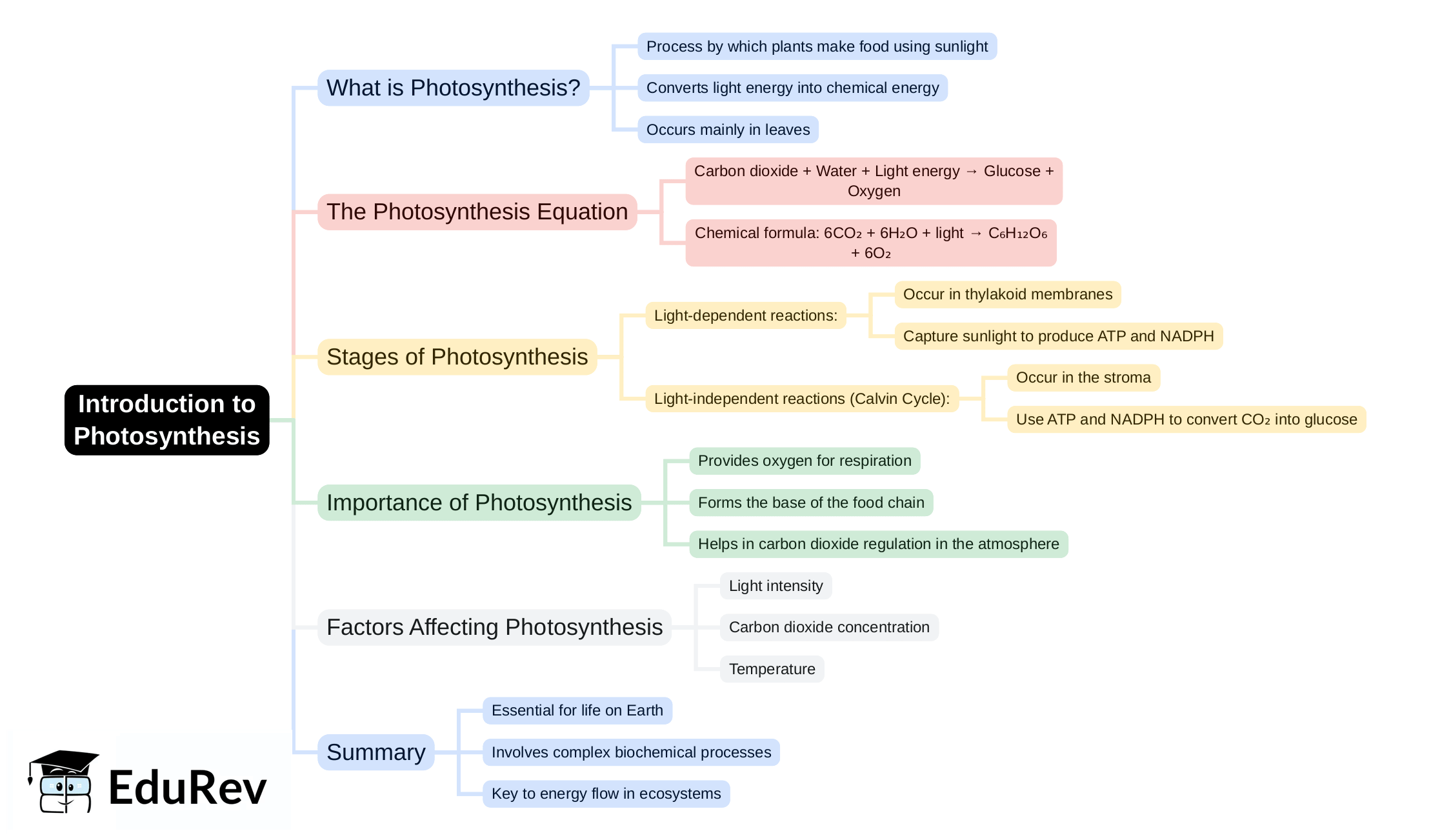 Mind Map: PDF Download